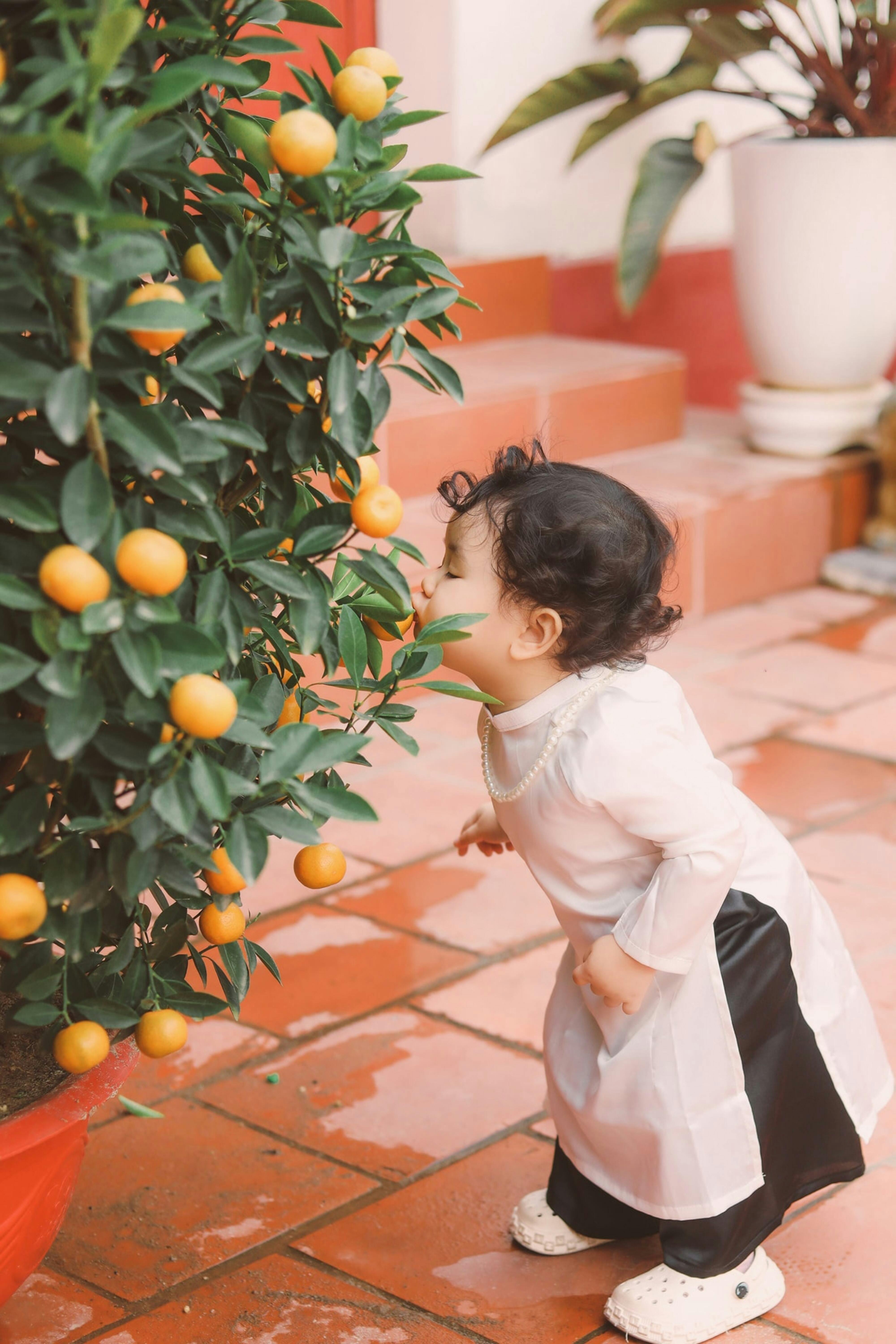 Girl Smelling Fruit on Tree · Free Stock Photo