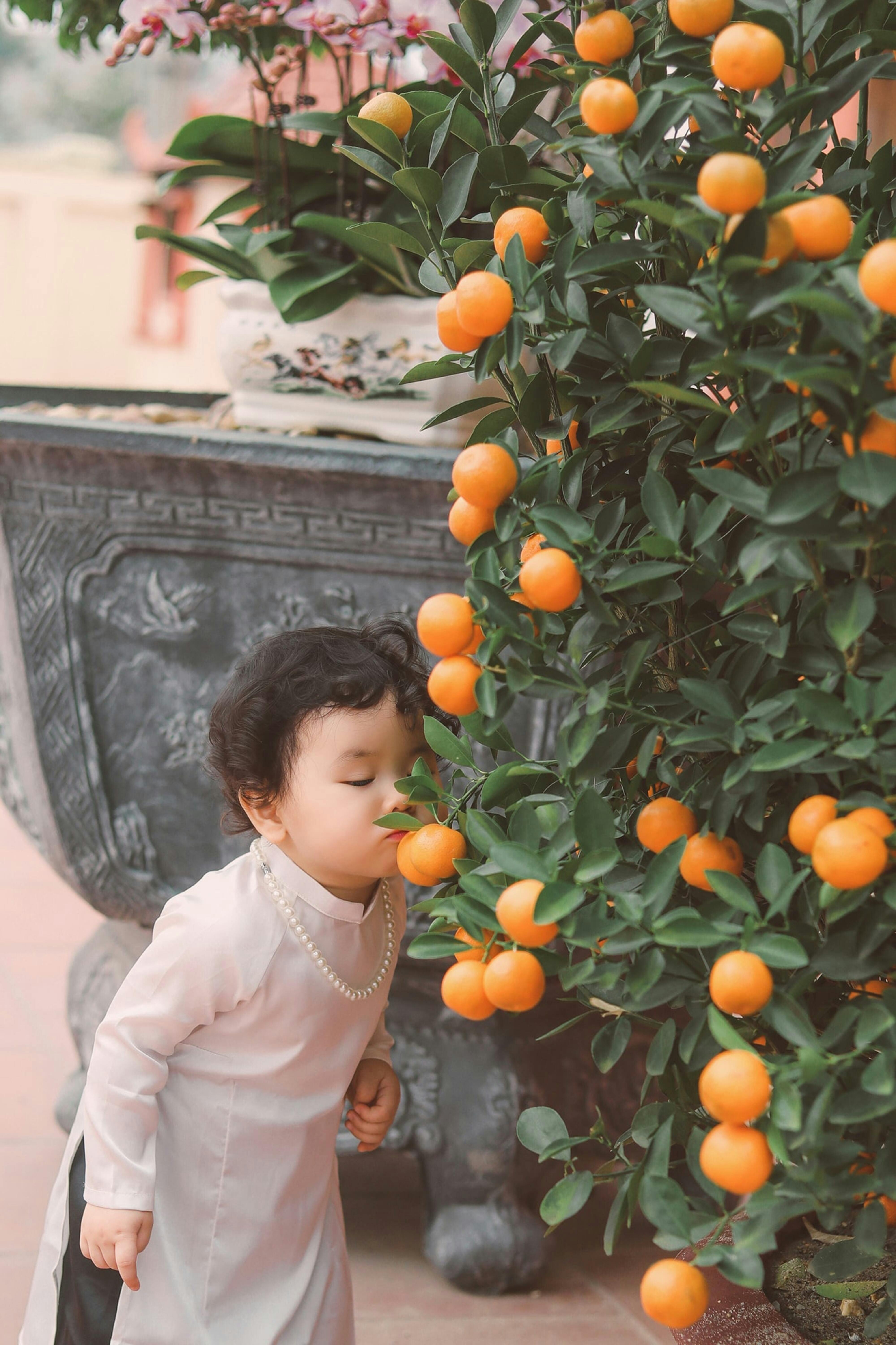 Girl Standing and Smelling Fruit from Tree · Free Stock Photo