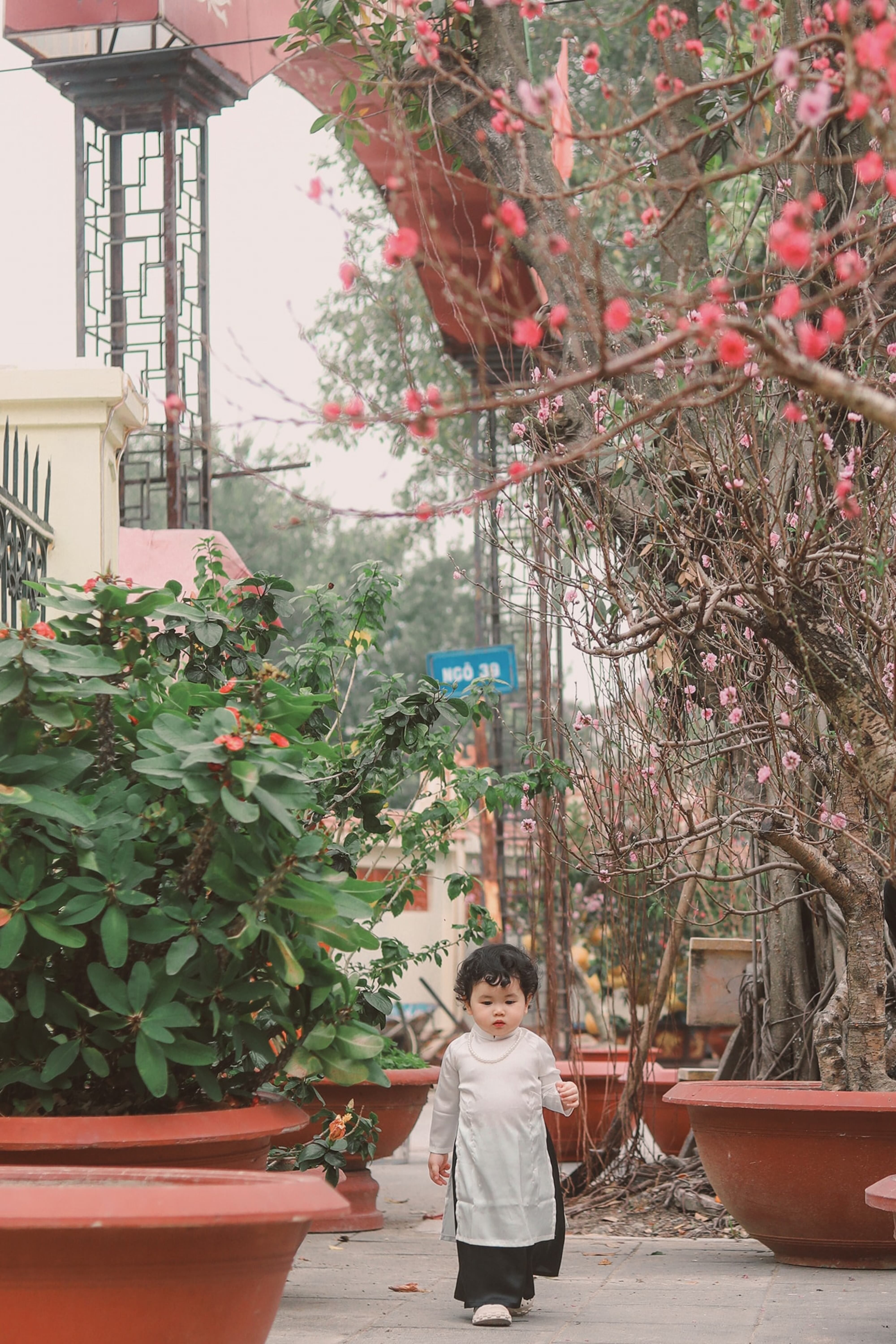Little Boy in Changpao Standing in front of Temple Entrance · Free ...