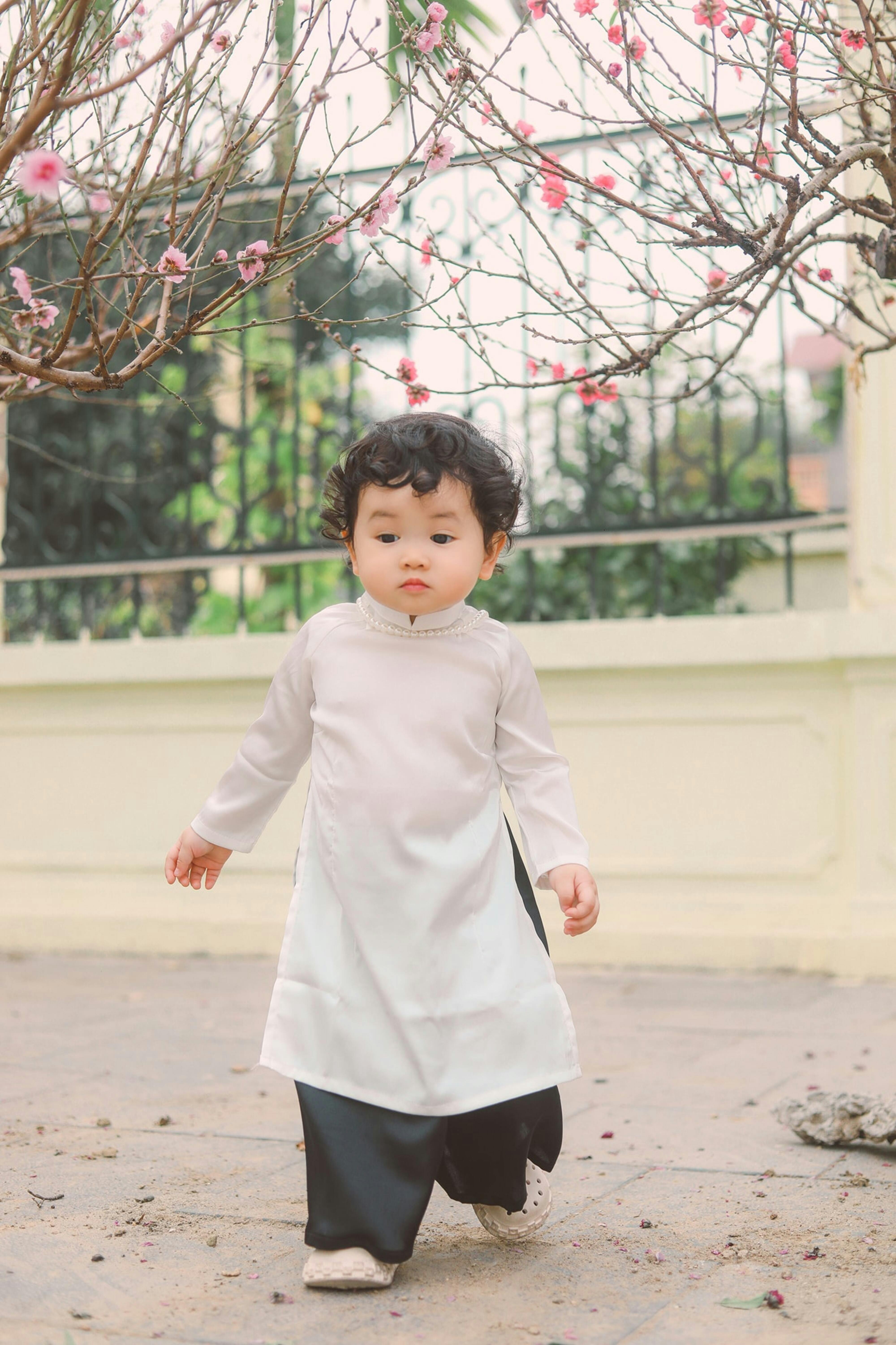 Changpao Photos, Download The BEST Free Changpao Stock Photos & HD Images