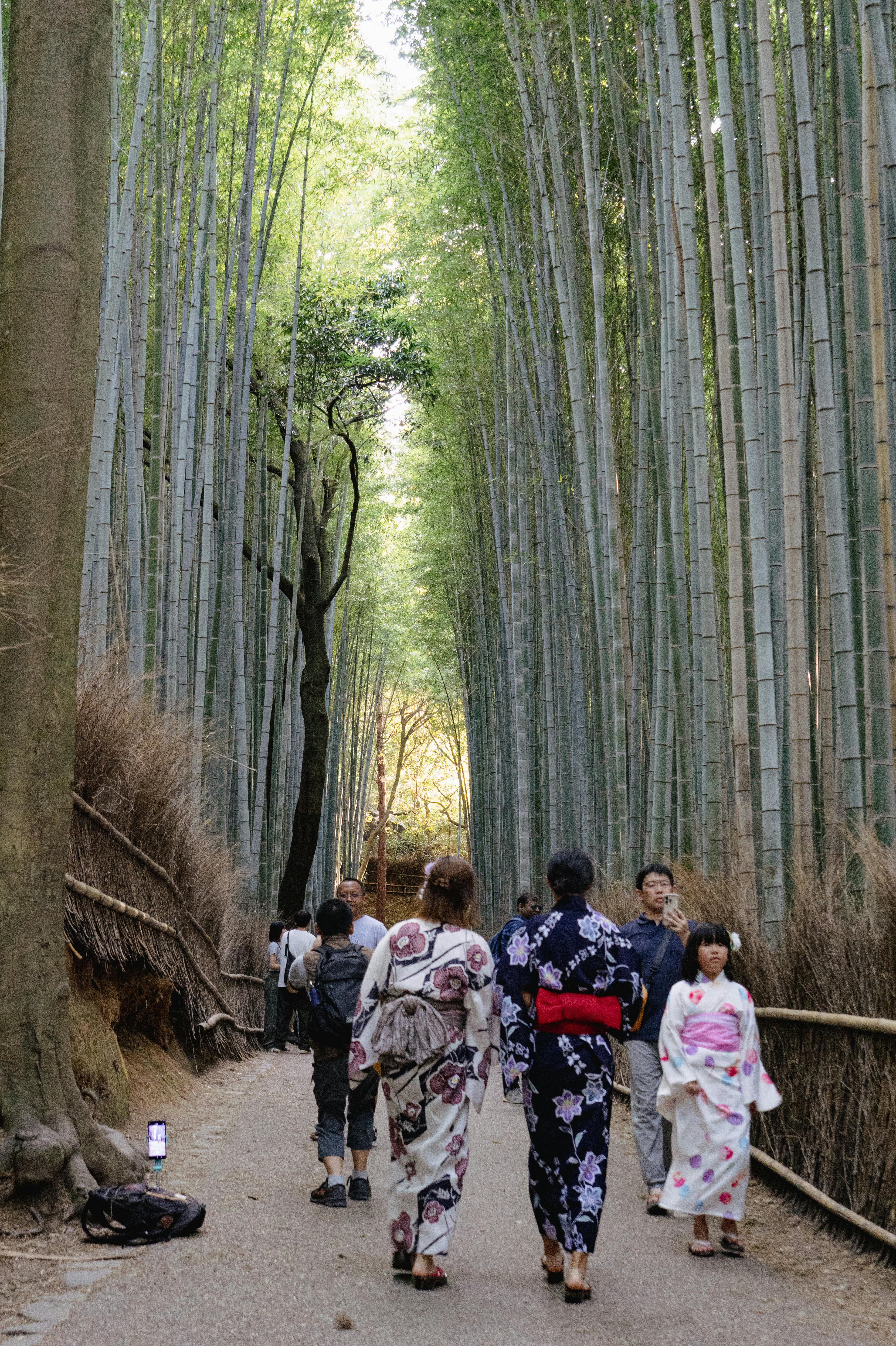 Three Geisha Walking Between Buildings · Free Stock Photo