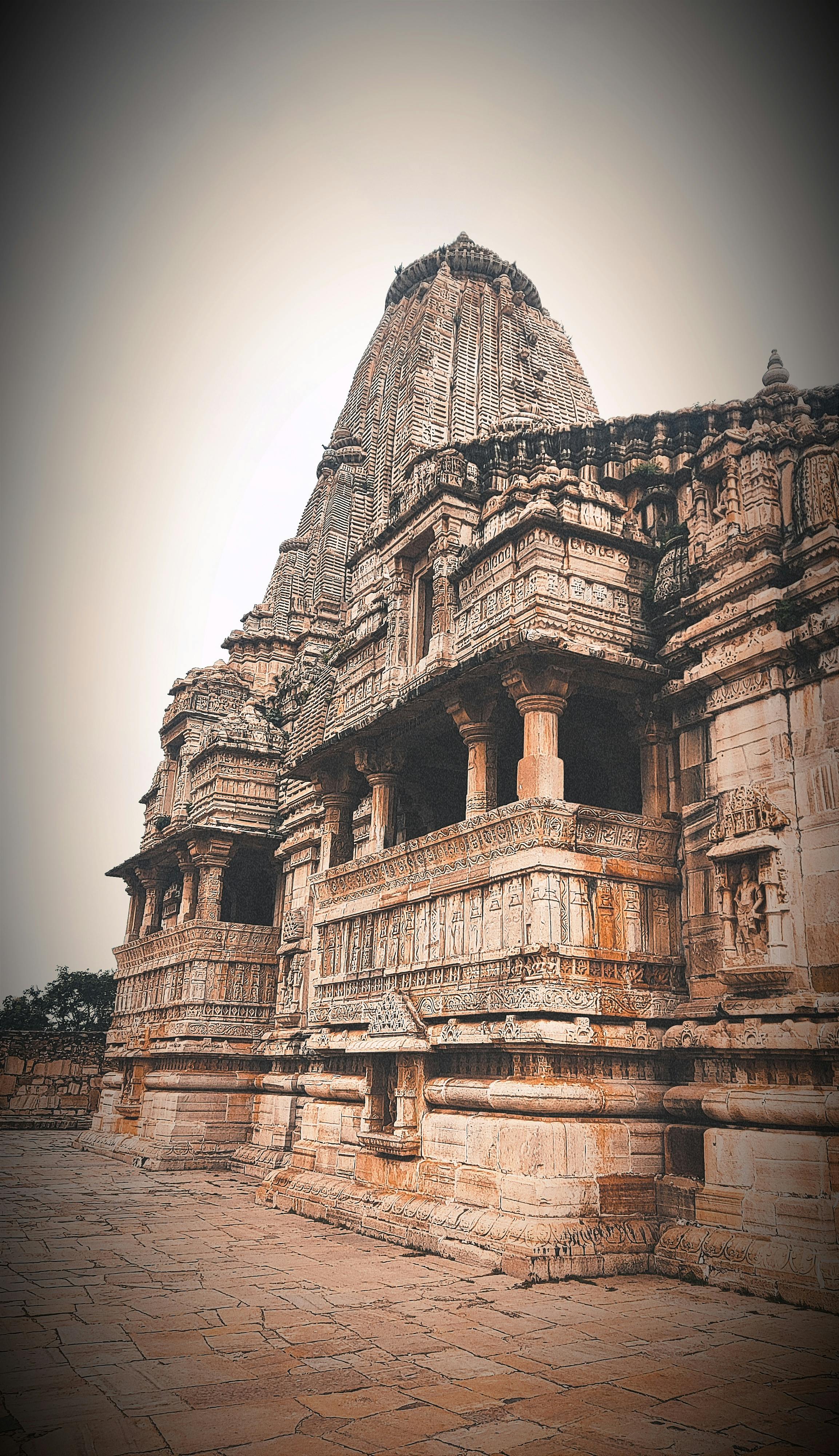 Isha Paliwal - 사진