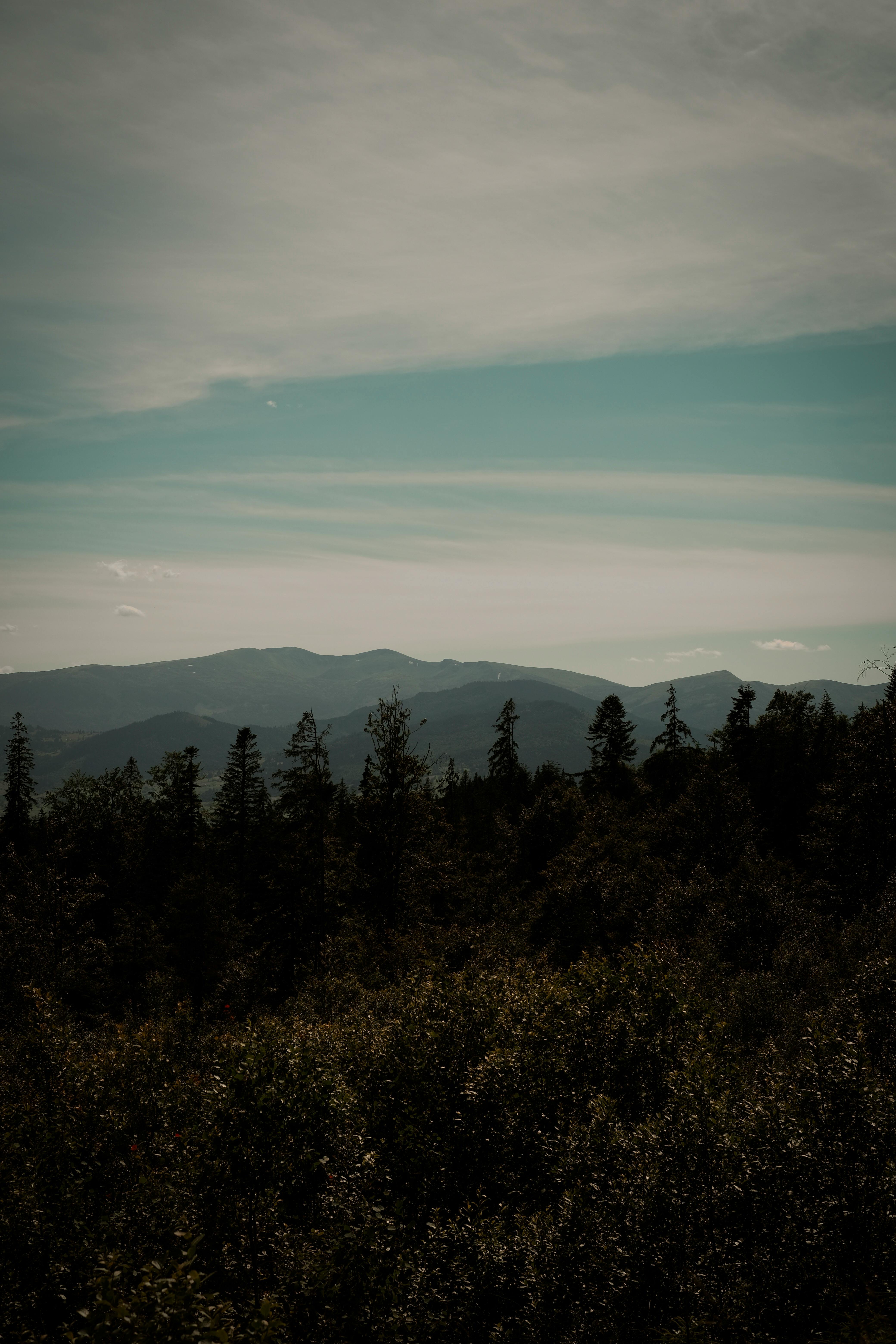 Bukit Puaka in Singapore · Free Stock Photo