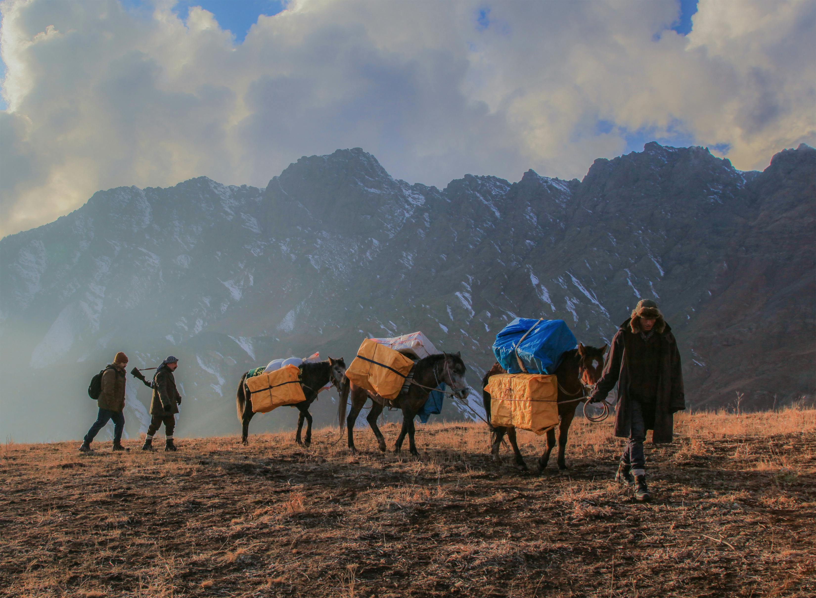 Men Travelling with Mules in Mountains · Free Stock Photo