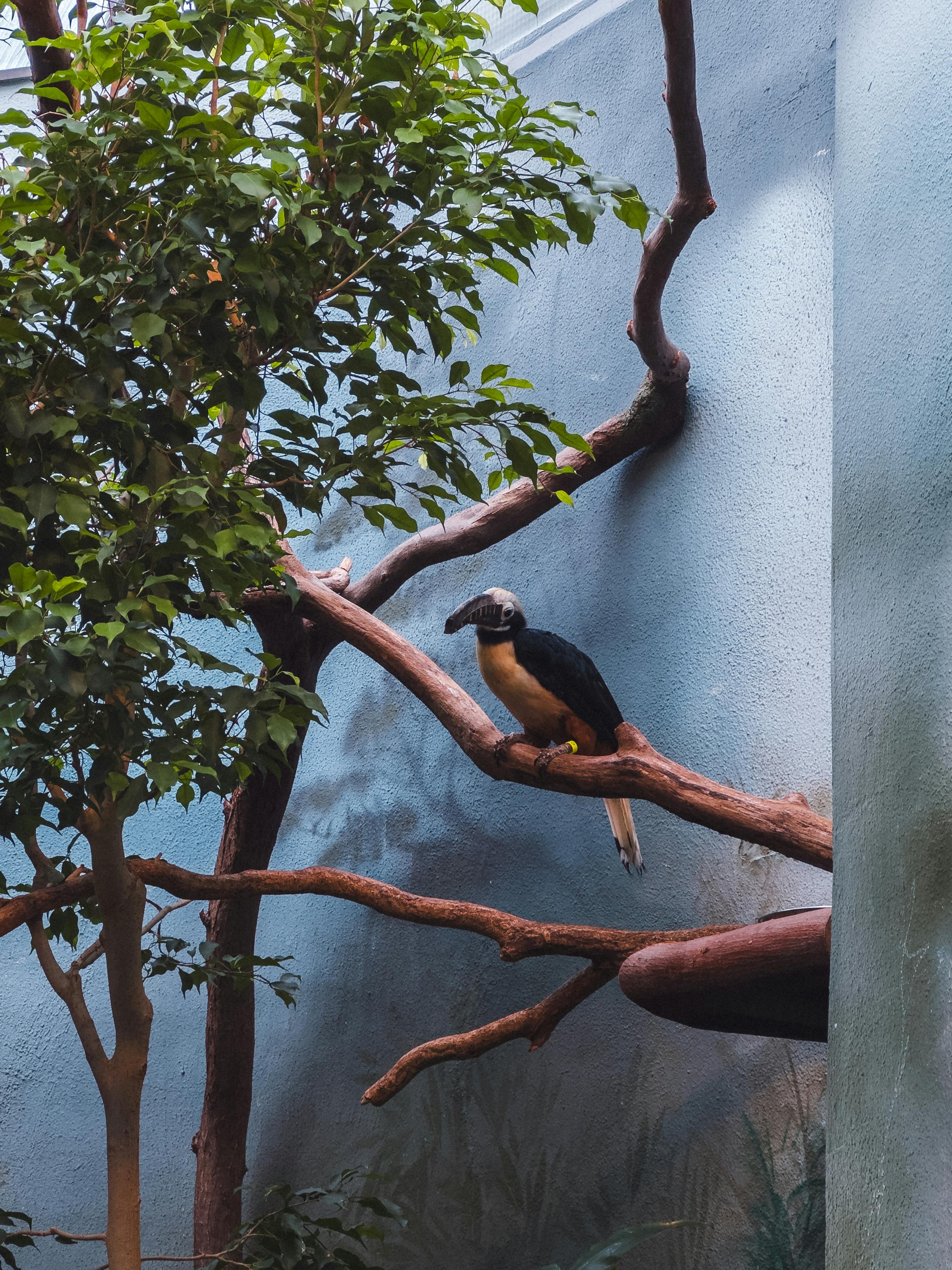 Tree Wheeler Photos, Download The BEST Free Tree Wheeler Stock Photos ...