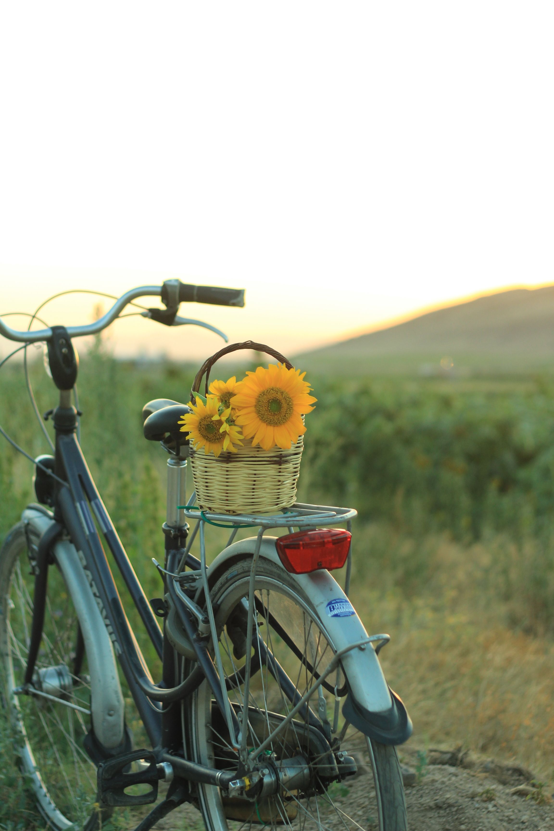 Aesthetic Bicycle Photos, Download The BEST Free Aesthetic Bicycle ...