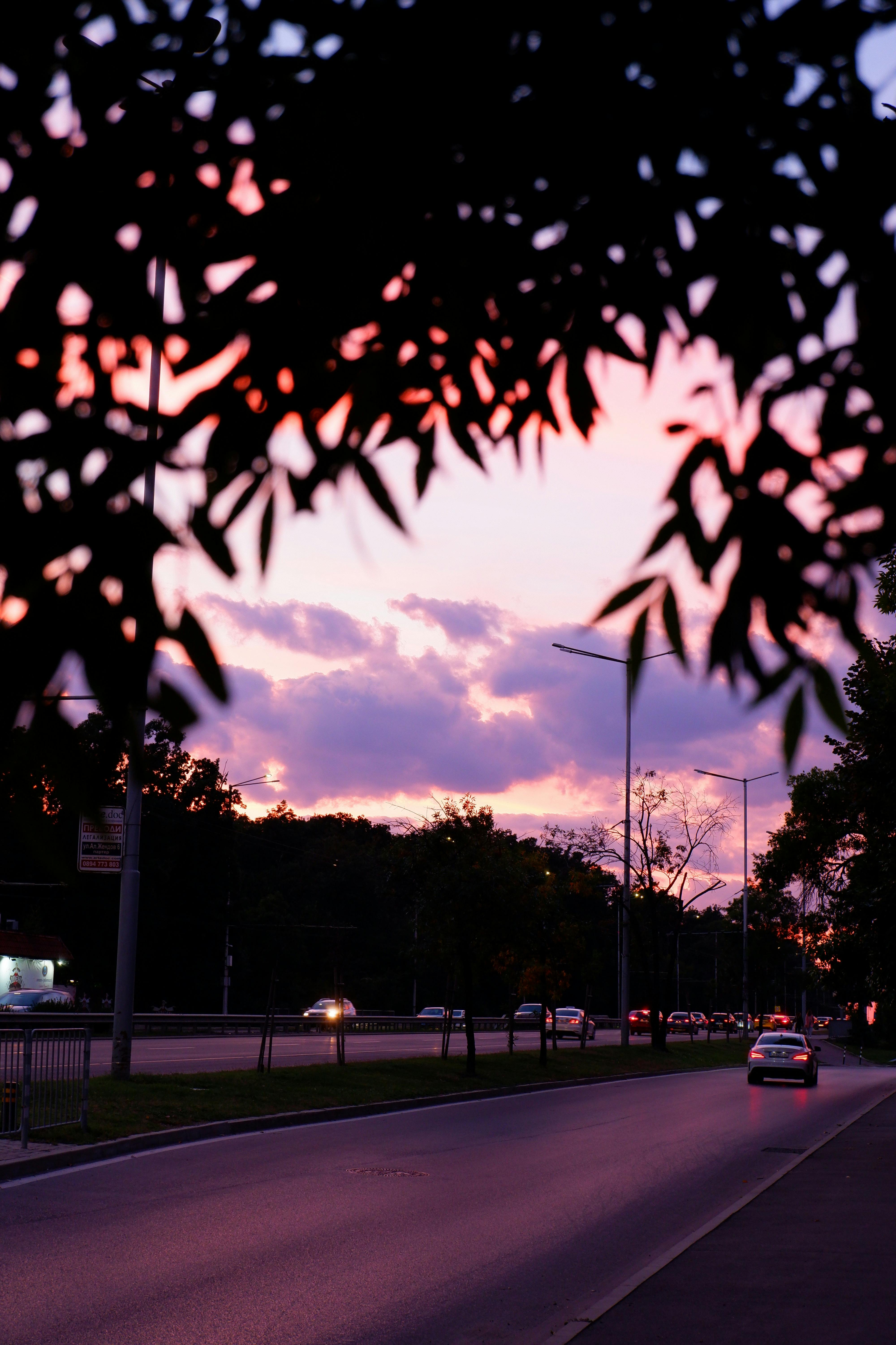 Ivan Georgiev - 사진