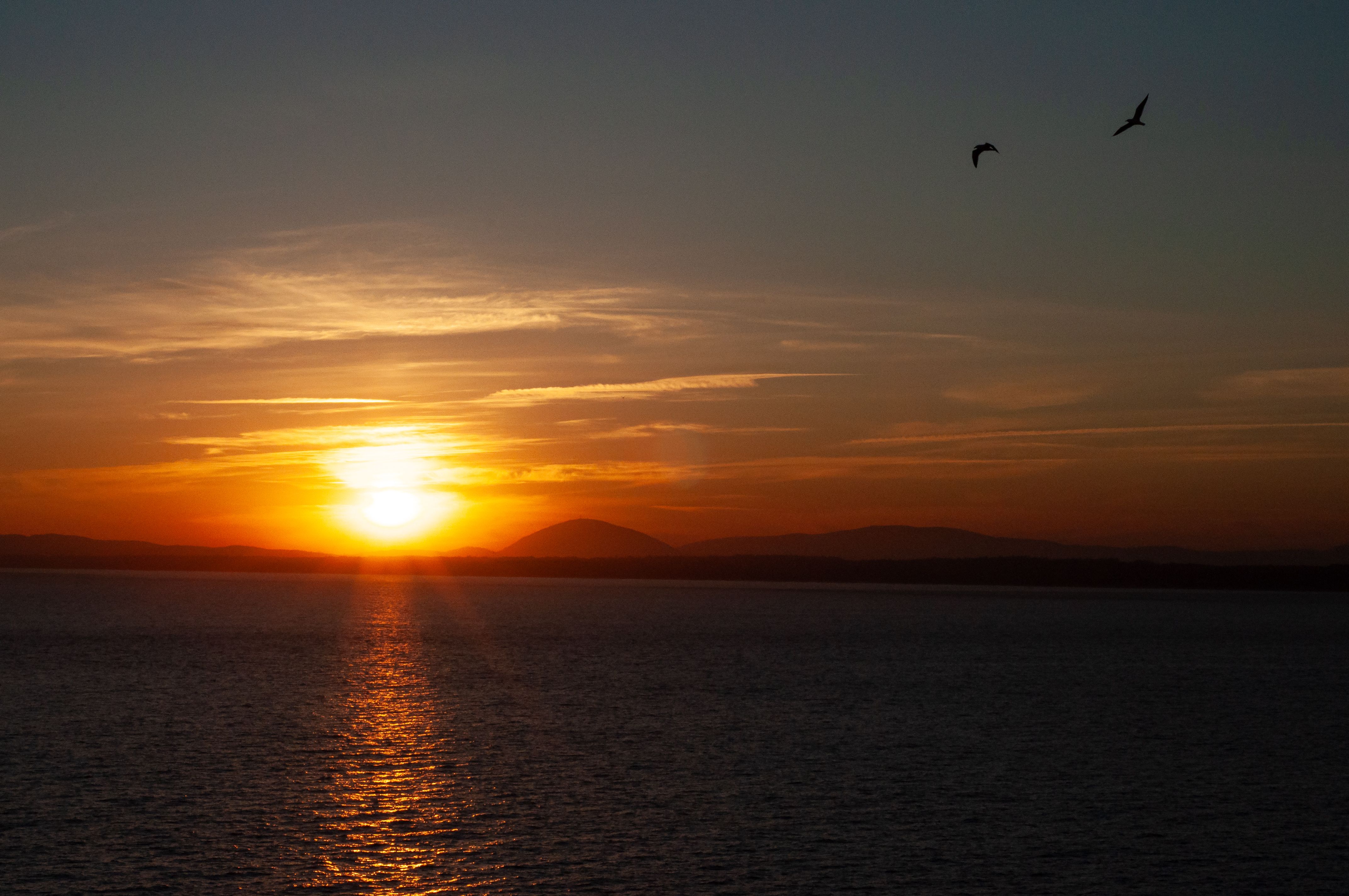Quite Sea Photos, Download The BEST Free Quite Sea Stock Photos & HD Images