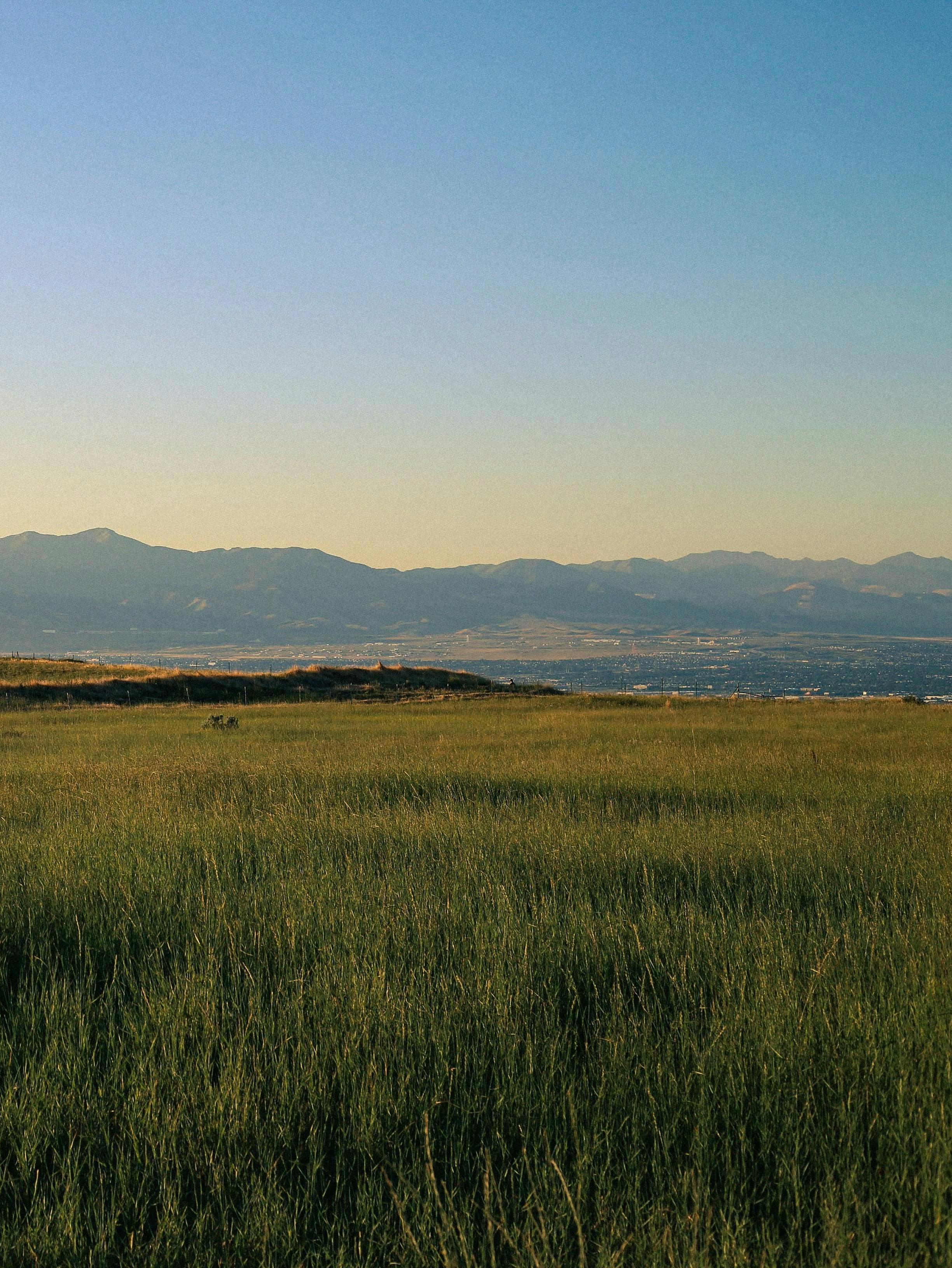 Window Frame over Grassland · Free Stock Photo