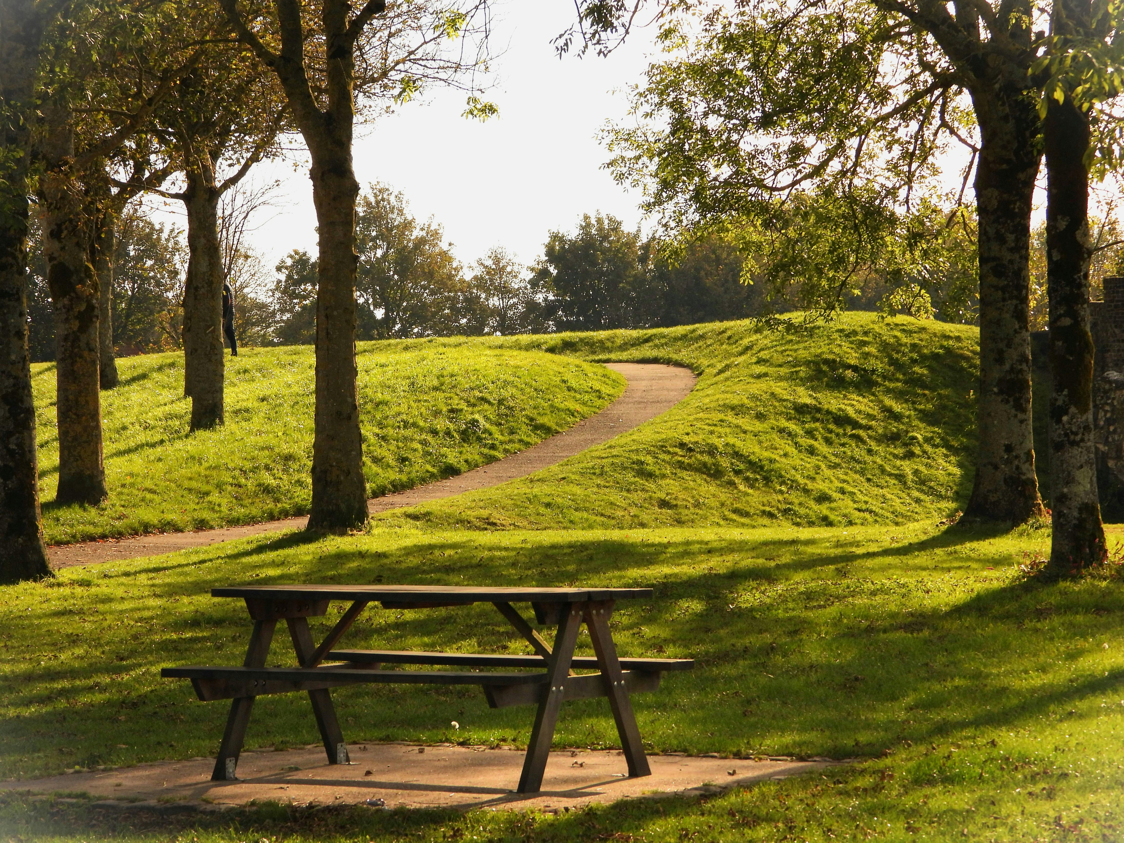 Table with Benches in Park · Free Stock Photo