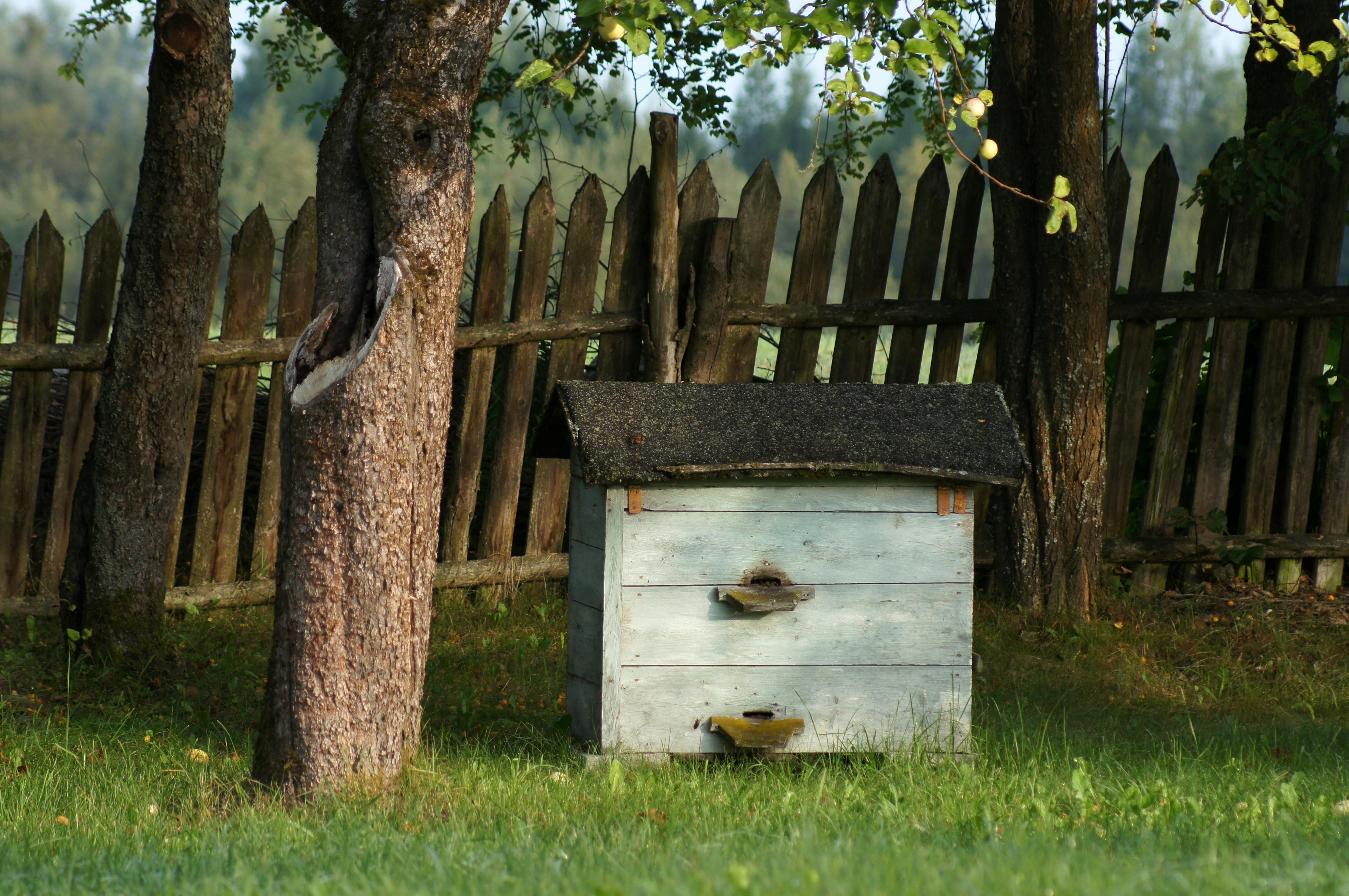 Beehive Fence Photos, Download The BEST Free Beehive Fence Stock Photos ...