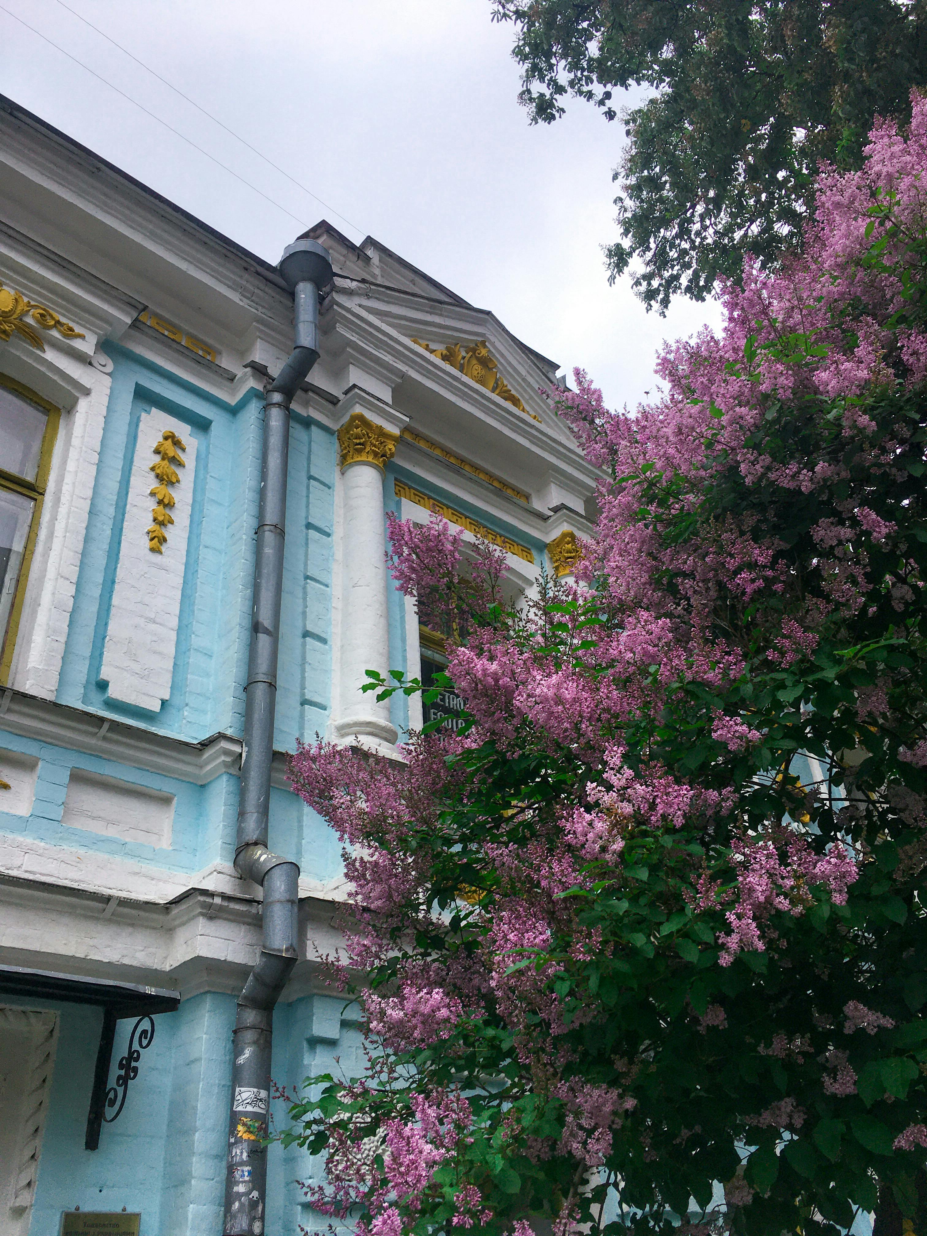 Spring Houses Photos, Download The BEST Free Spring Houses Stock Photos ...