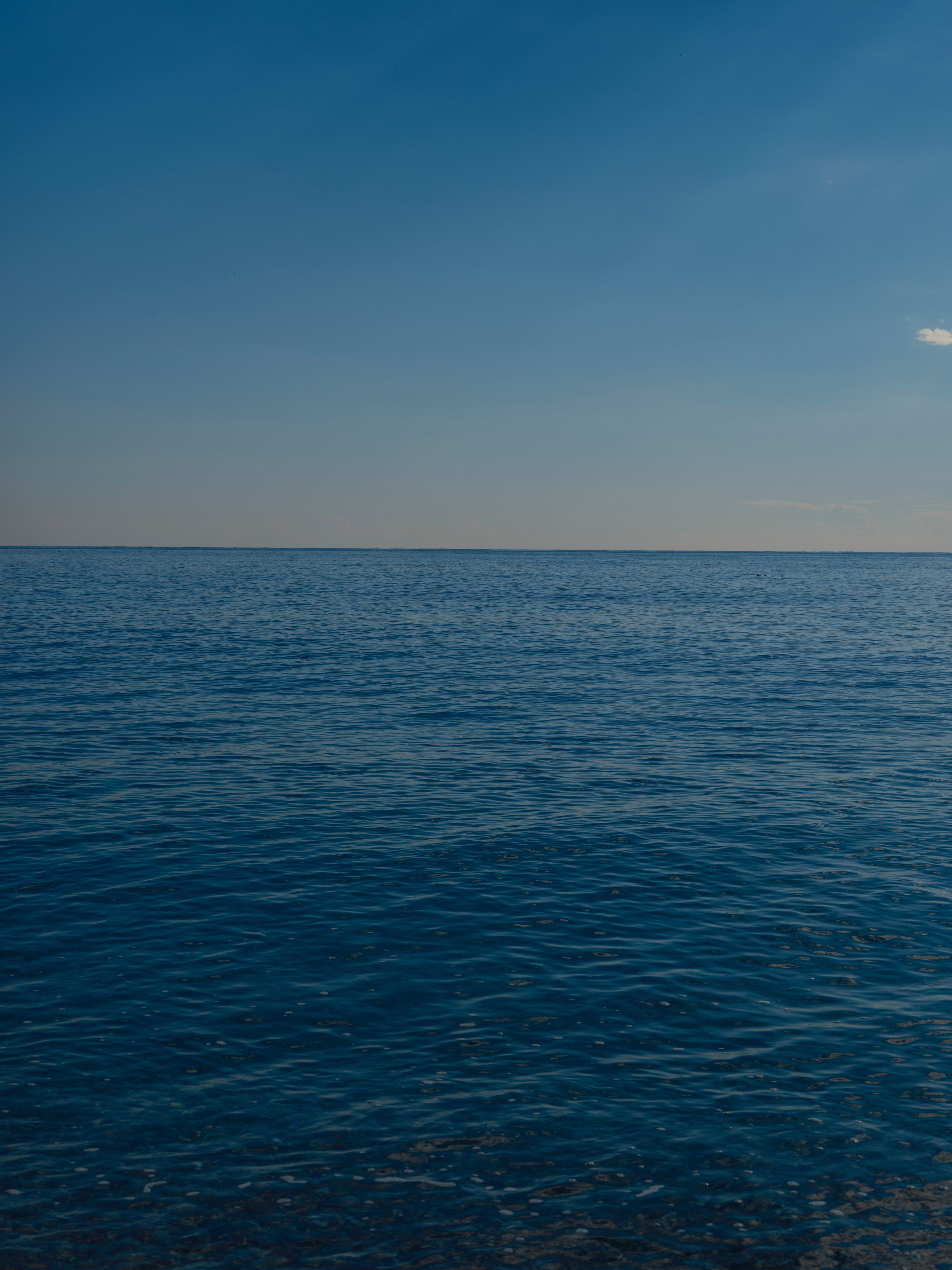 Clear Sky over Calm Sea · Free Stock Photo