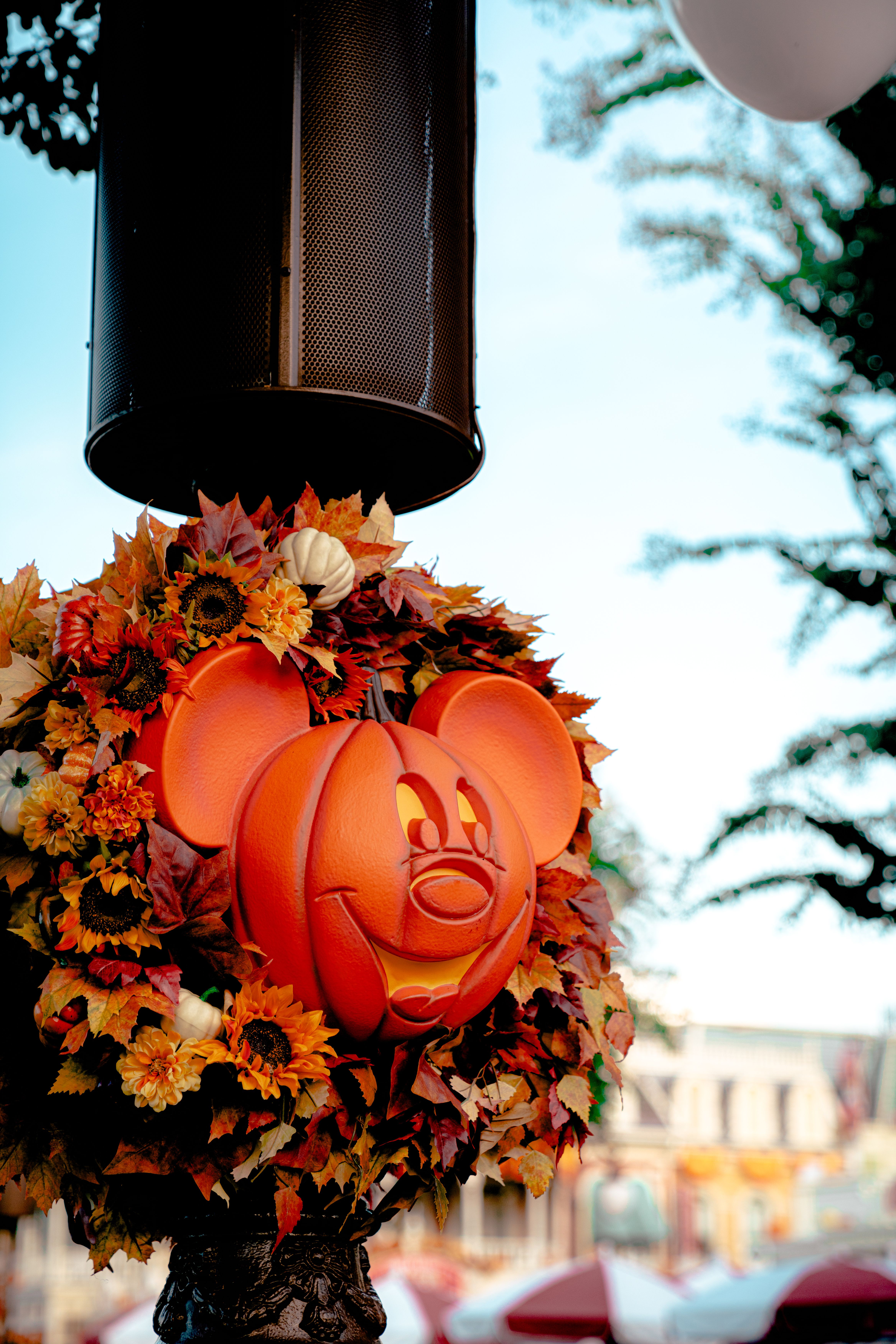 Mickey Mouse Decoration for Halloween · Free Stock Photo