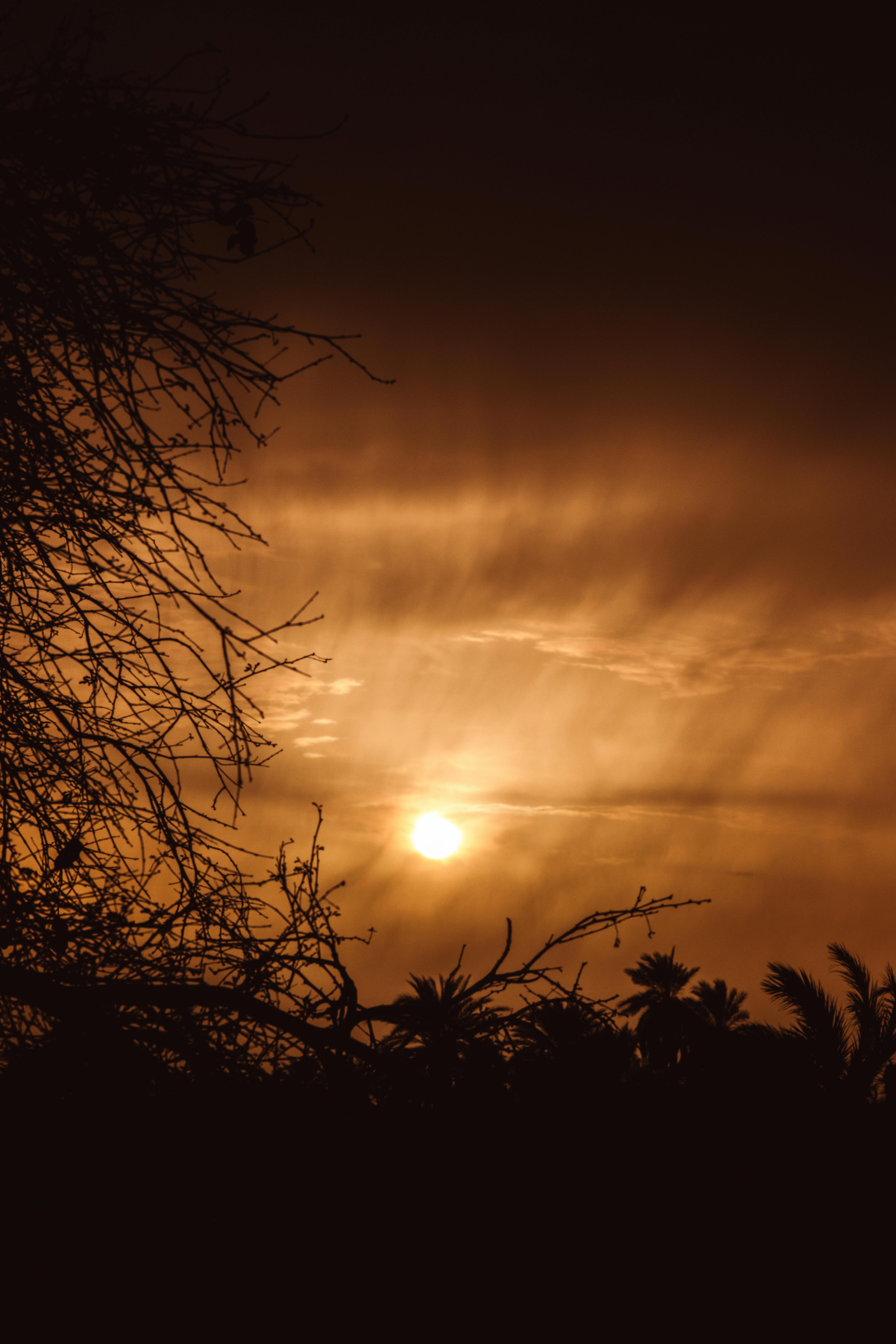 creepy sunset · Free Stock Photo