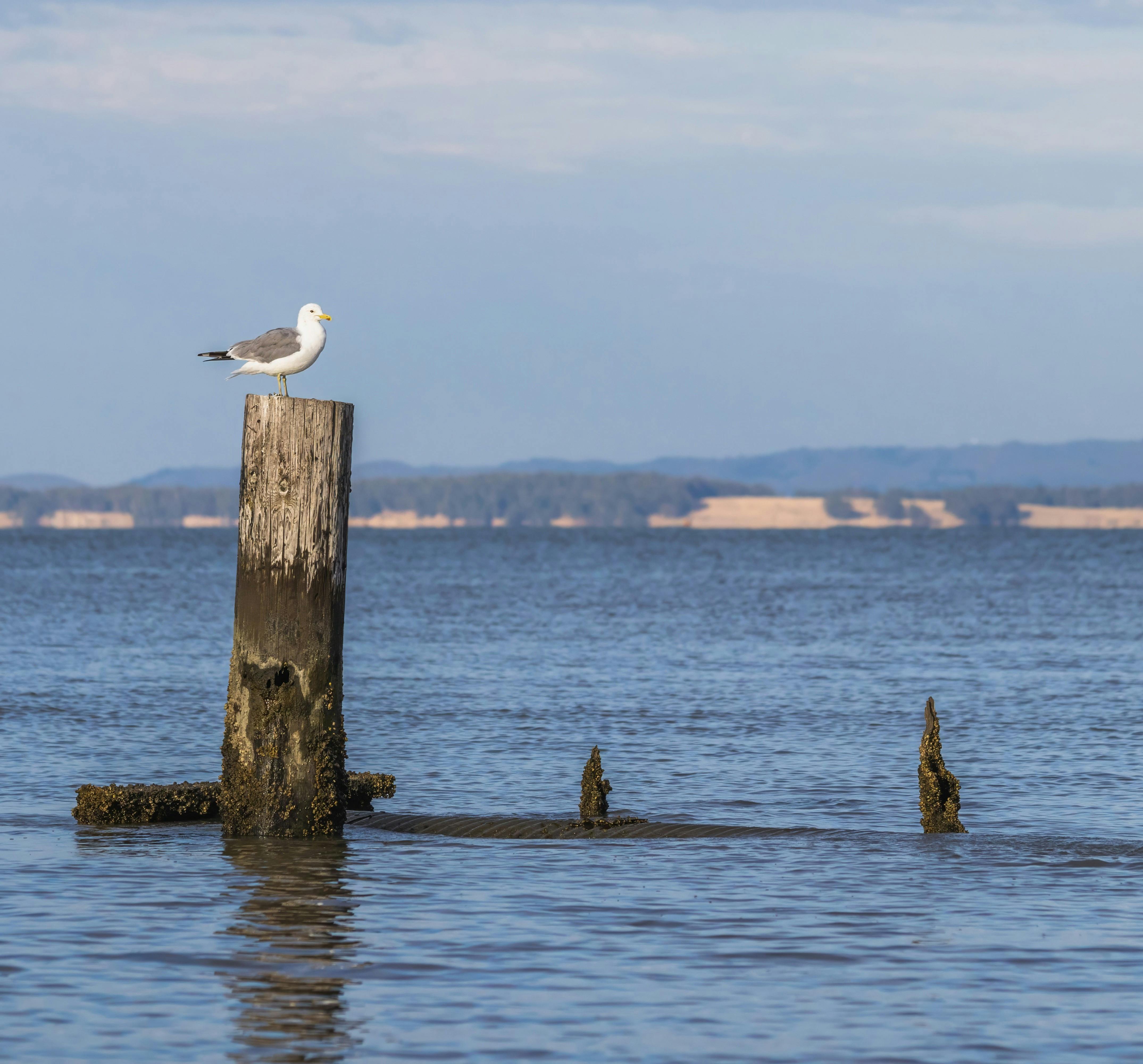 Old Trans Photos, Download The BEST Free Old Trans Stock Photos & HD Images