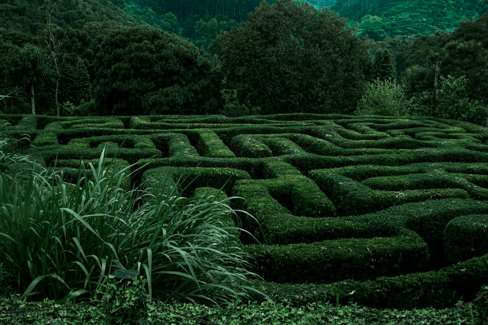 Labyrinth Photos, Download The BEST Free Labyrinth Stock Photos & HD Images