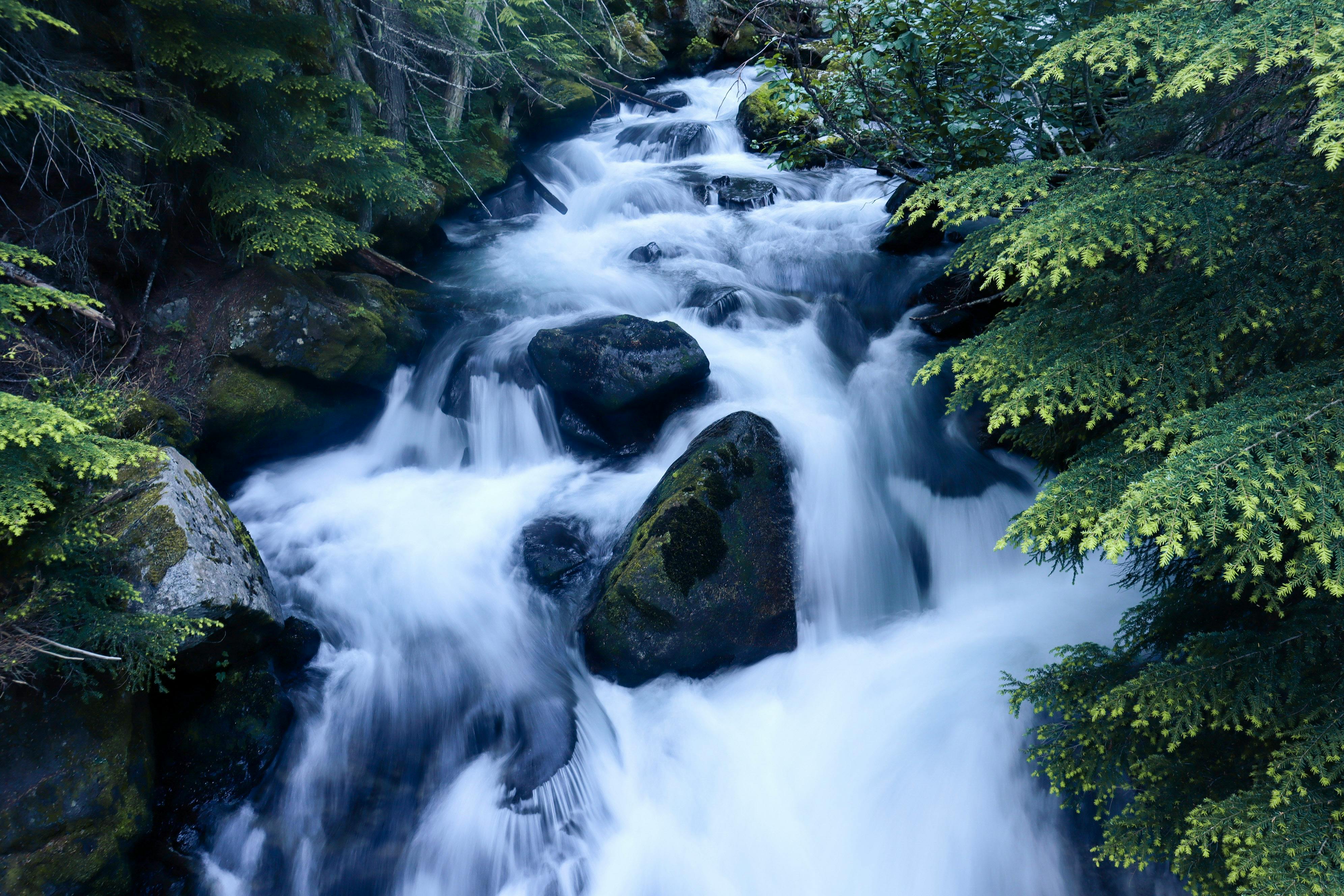 Cascade in Forest in Cascade Mountains, USA · Free Stock Photo