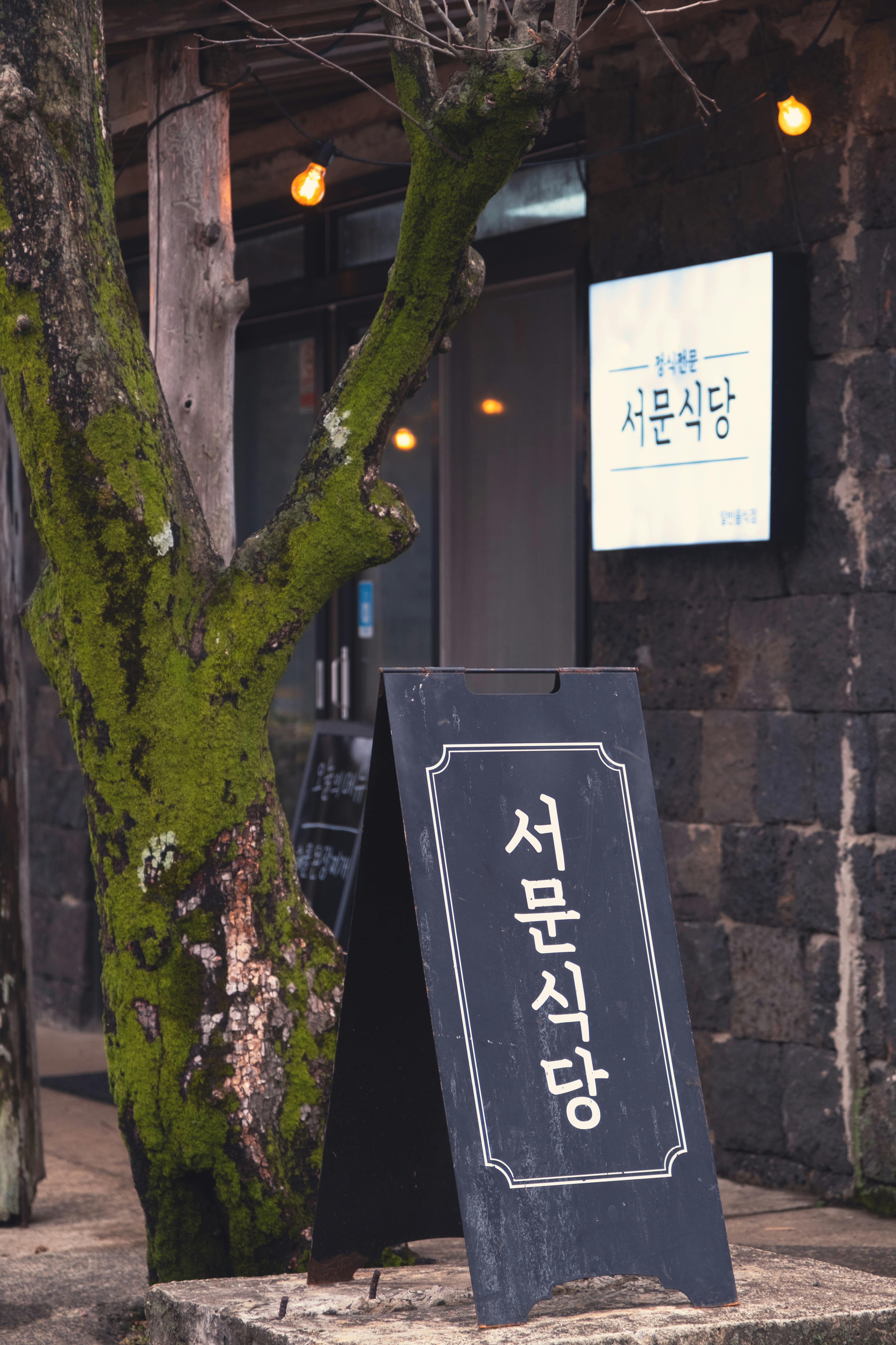 Steampunk Signs Photos, Download The BEST Free Steampunk Signs Stock ...