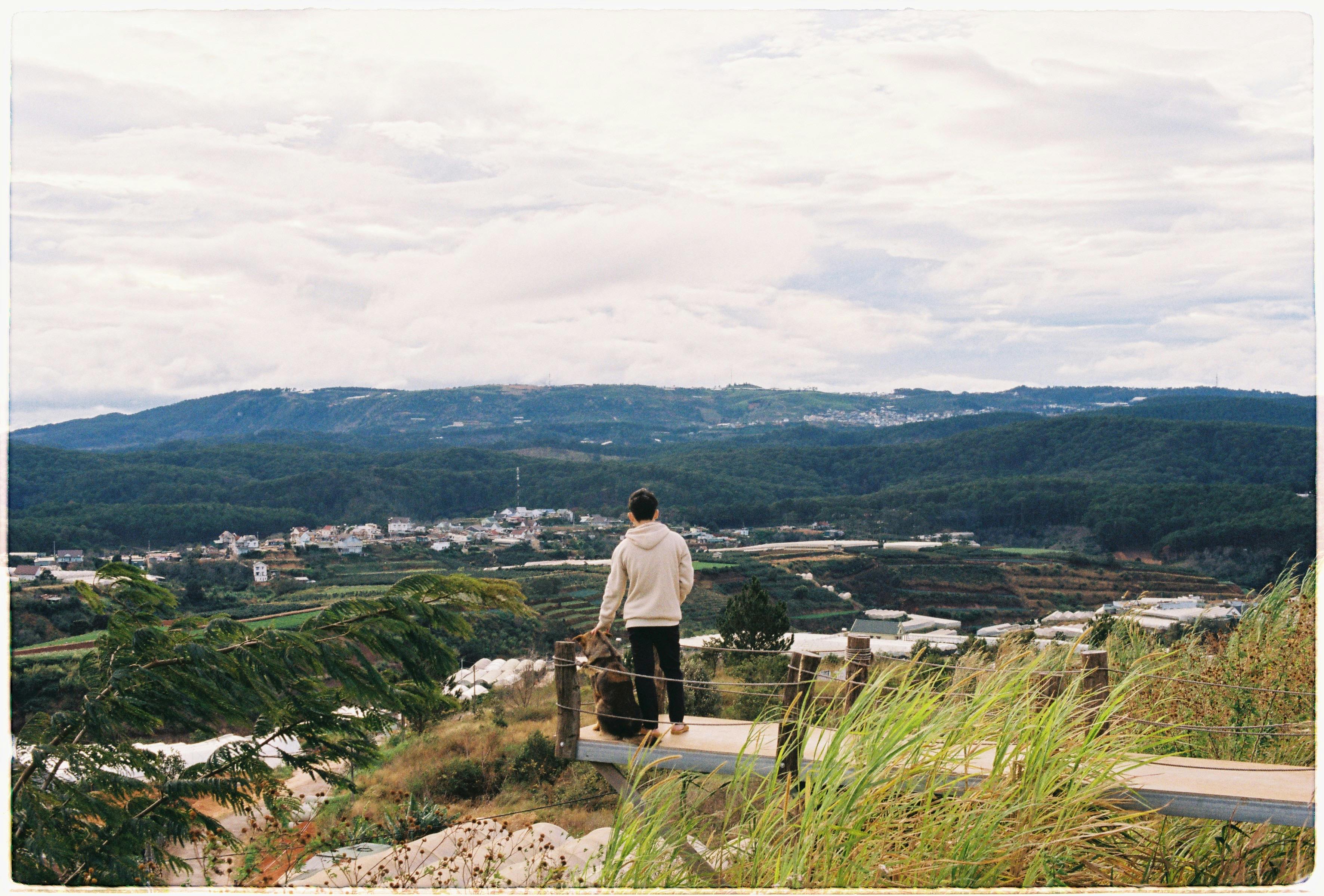 A Person with a Dog Standing on the Lookout Point · Free Stock Photo