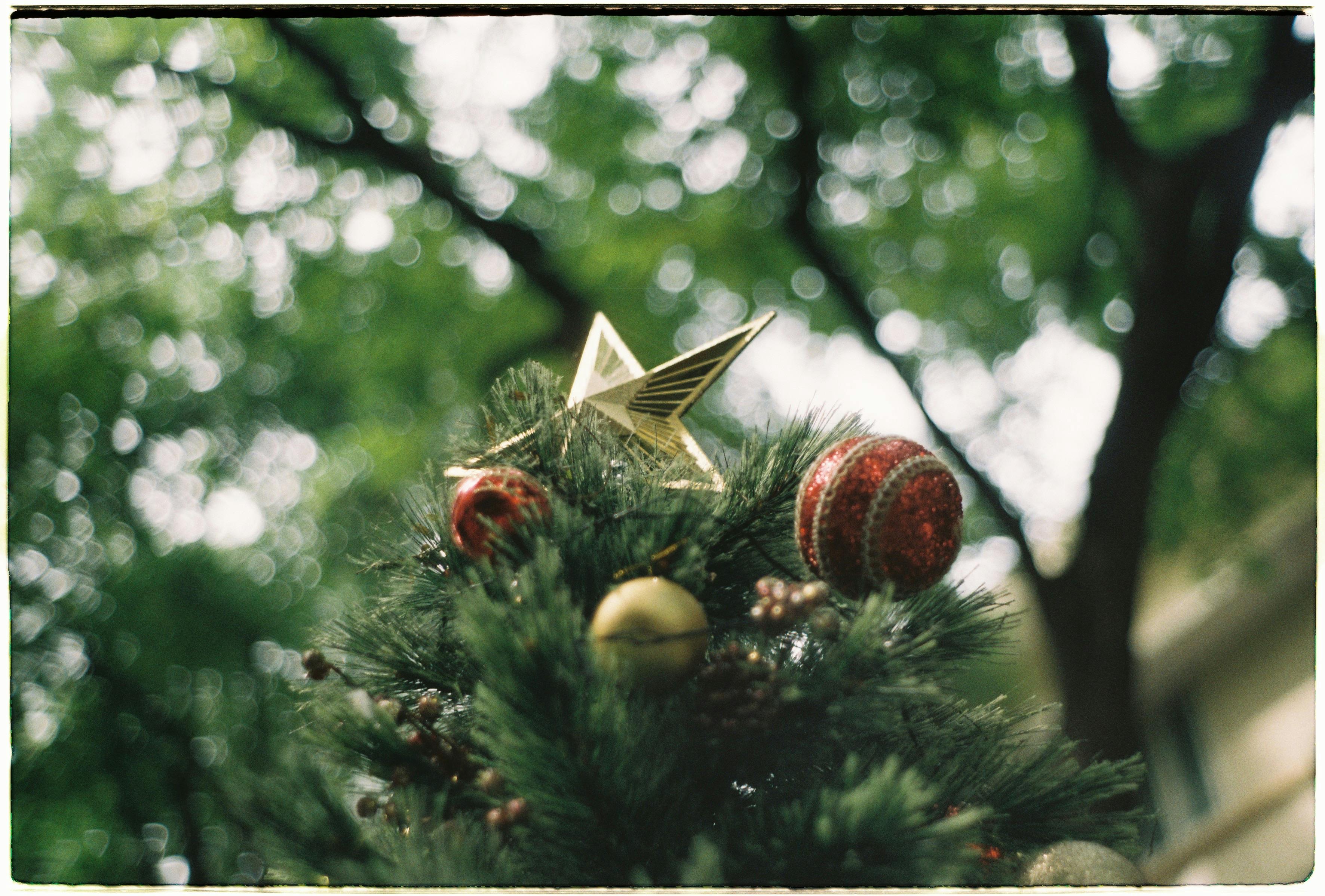 Close-up of a Christmas Tree with Decorations · Free Stock Photo