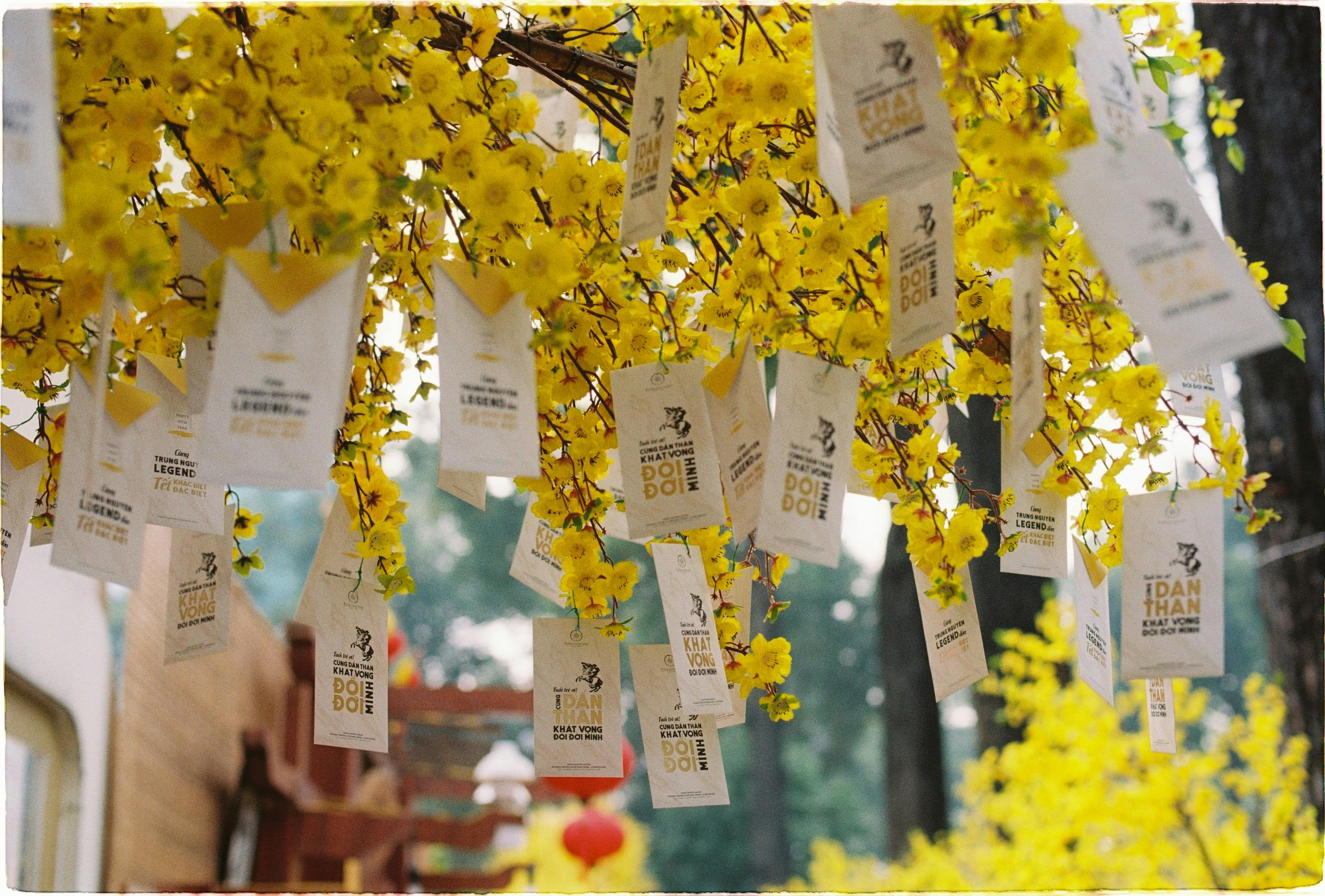 Hanging Cards Photos, Download The BEST Free Hanging Cards Stock Photos ...