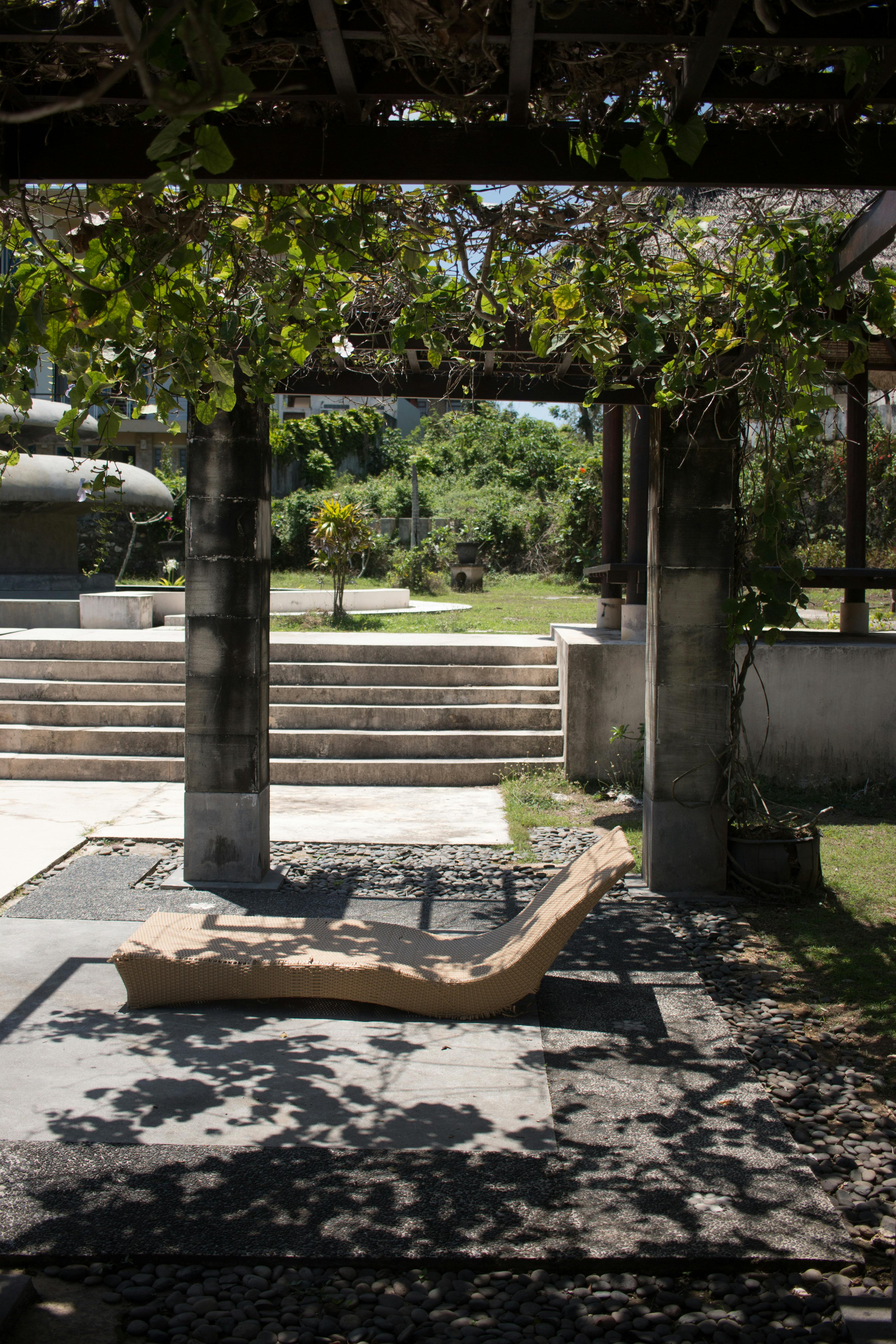 Bench Below the Vines · Free Stock Photo