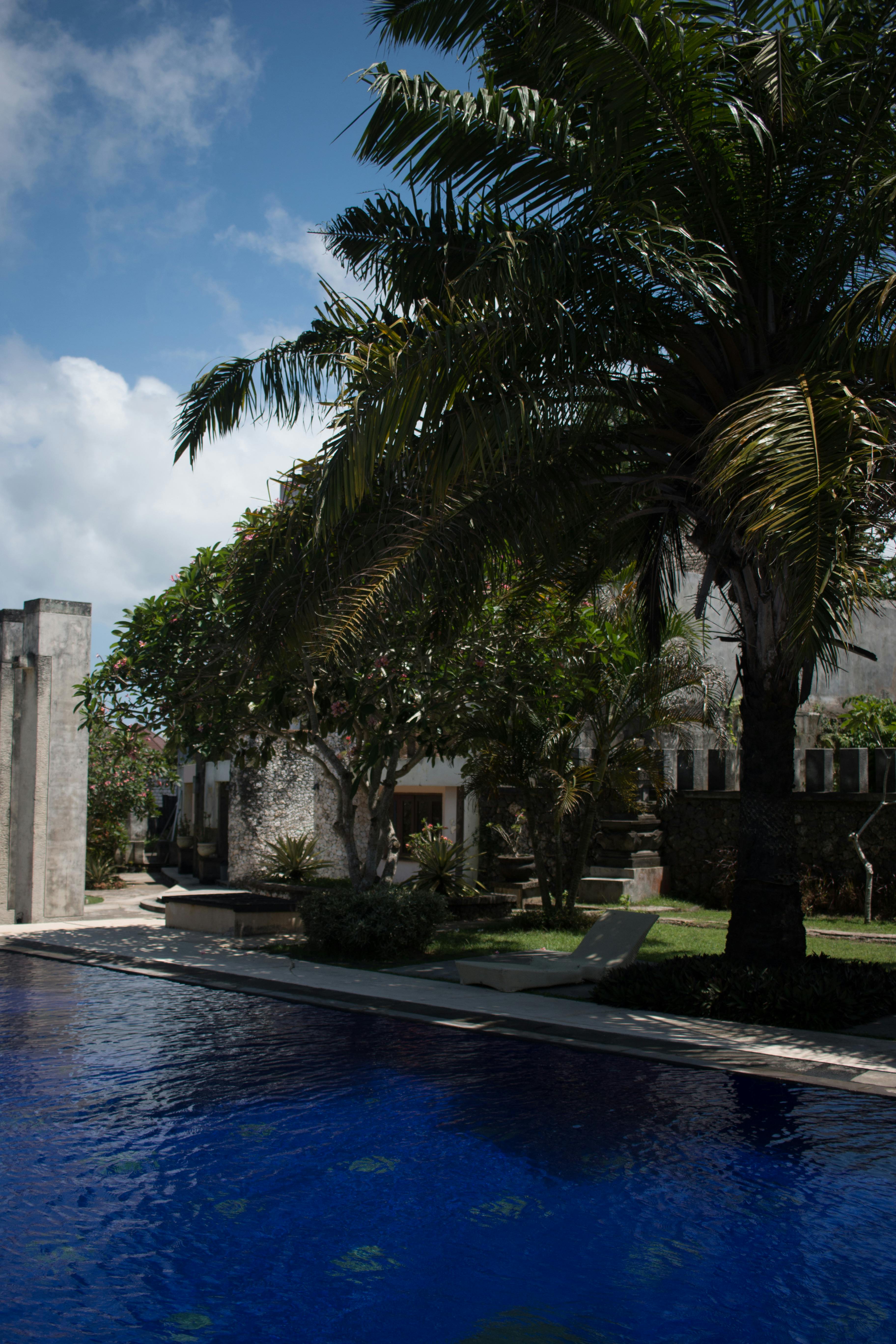 Large Dug-Out Pool in Summer · Free Stock Photo
