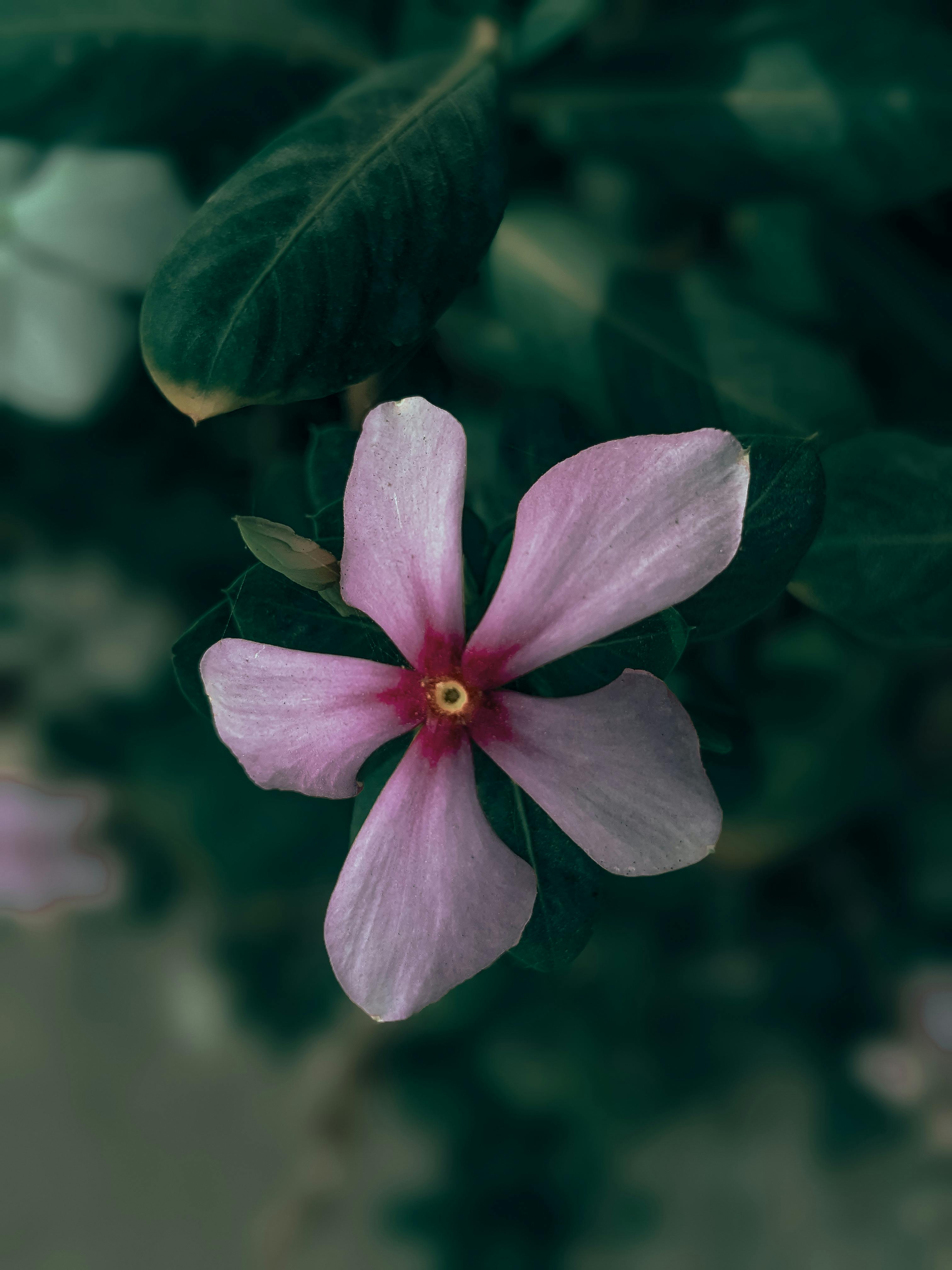 Muhammad Taha - Fotografie