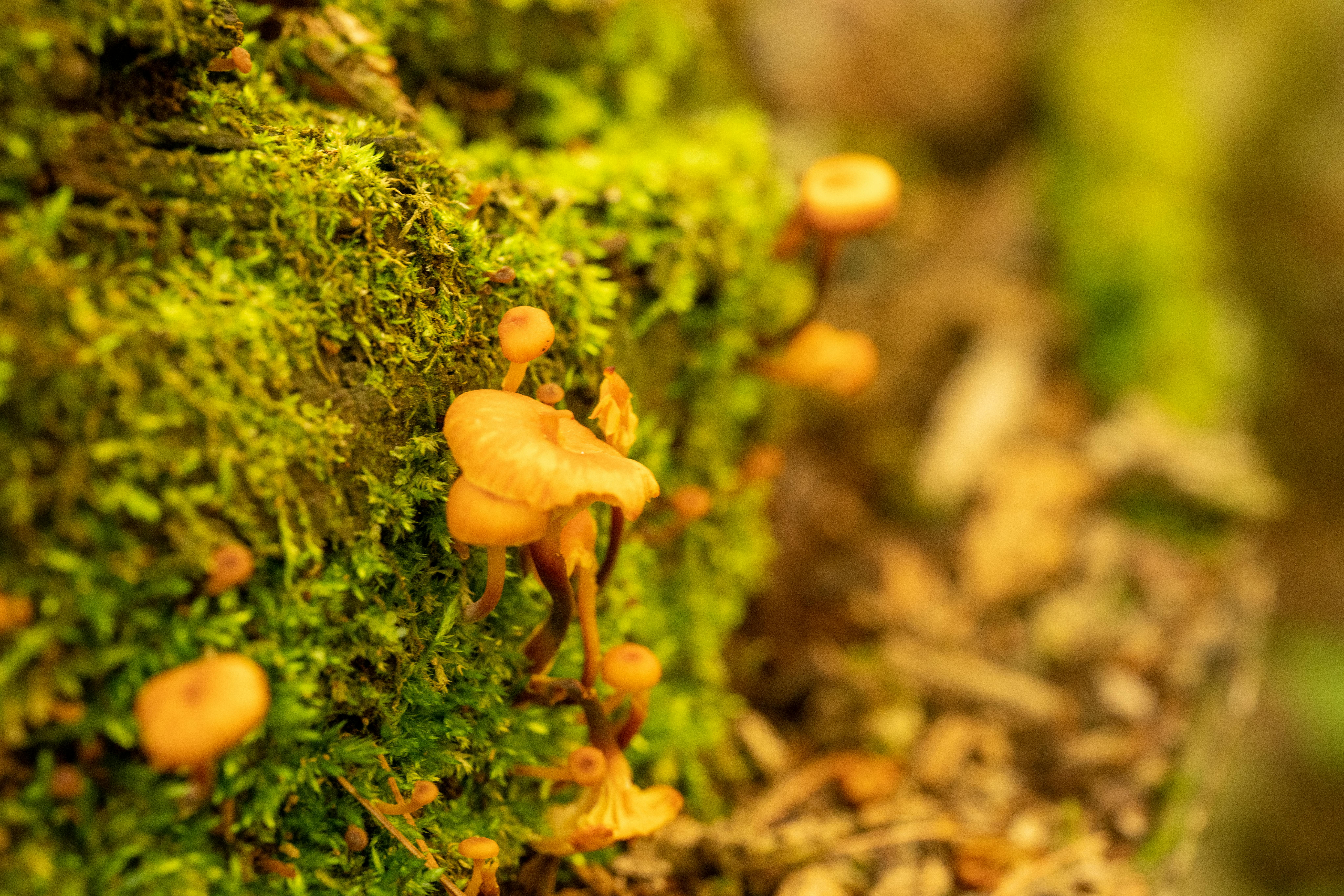 Insight Into Nature Photos, Download The BEST Free Insight Into Nature ...