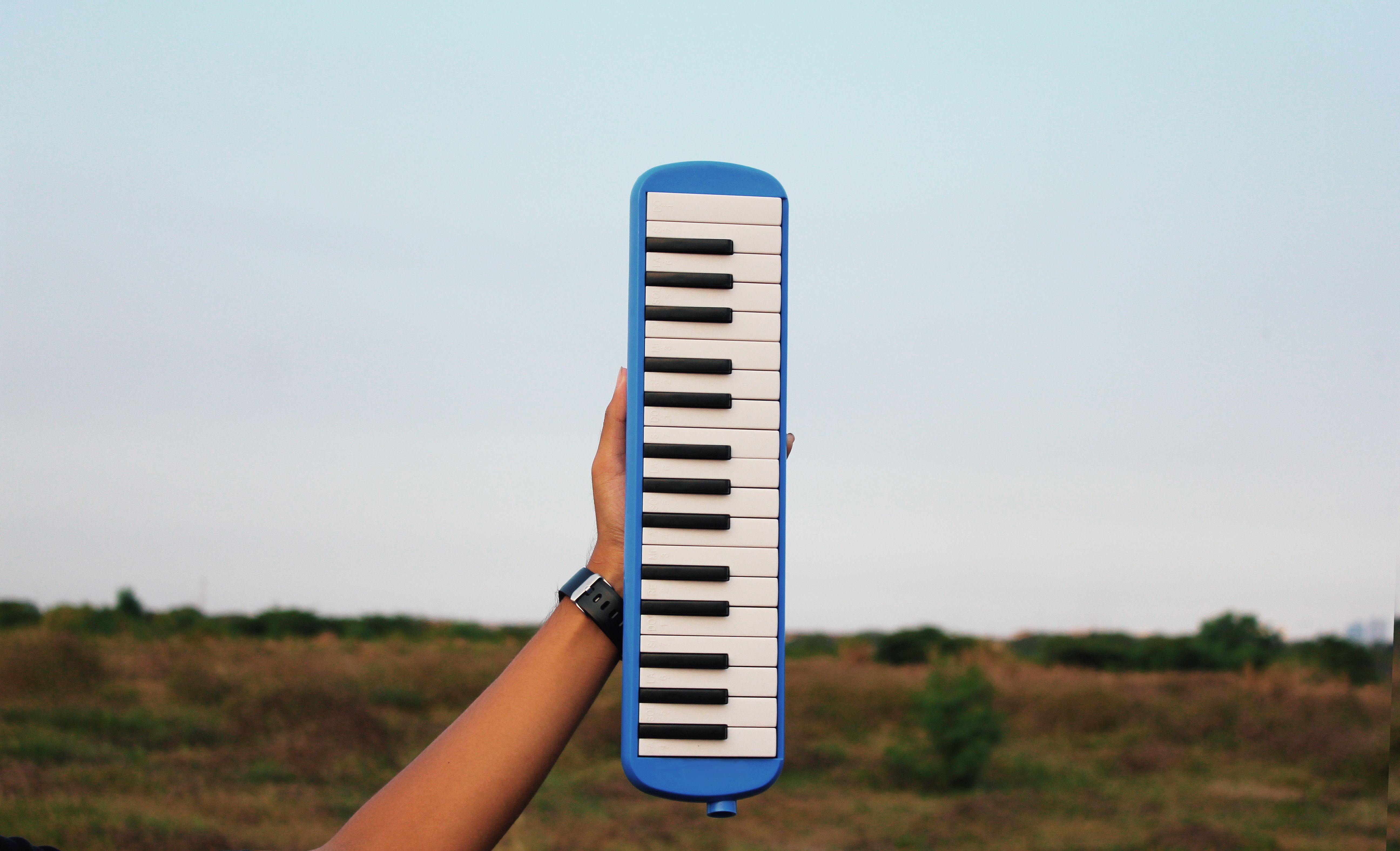 Woman Holding a Keyboard on a Field · Free Stock Photo