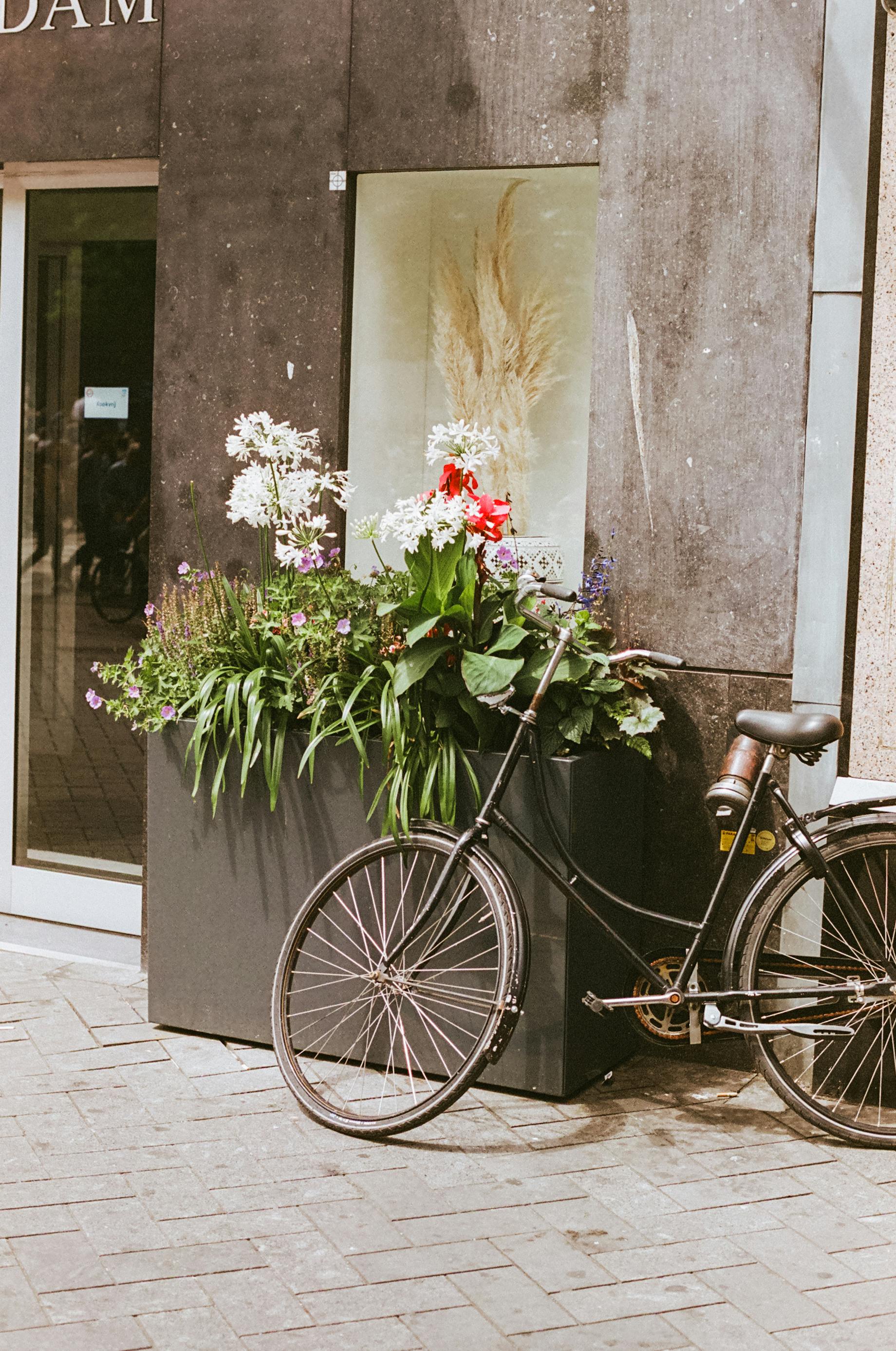 Bike near Flowers on Pavement · Free Stock Photo