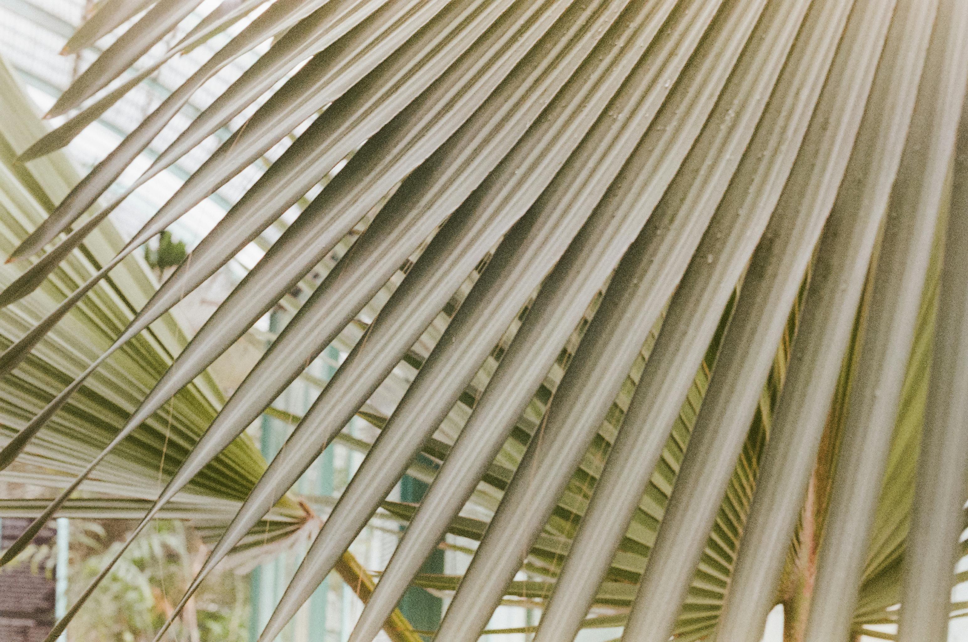 Long String Photos, Download The BEST Free Long String Stock Photos ...