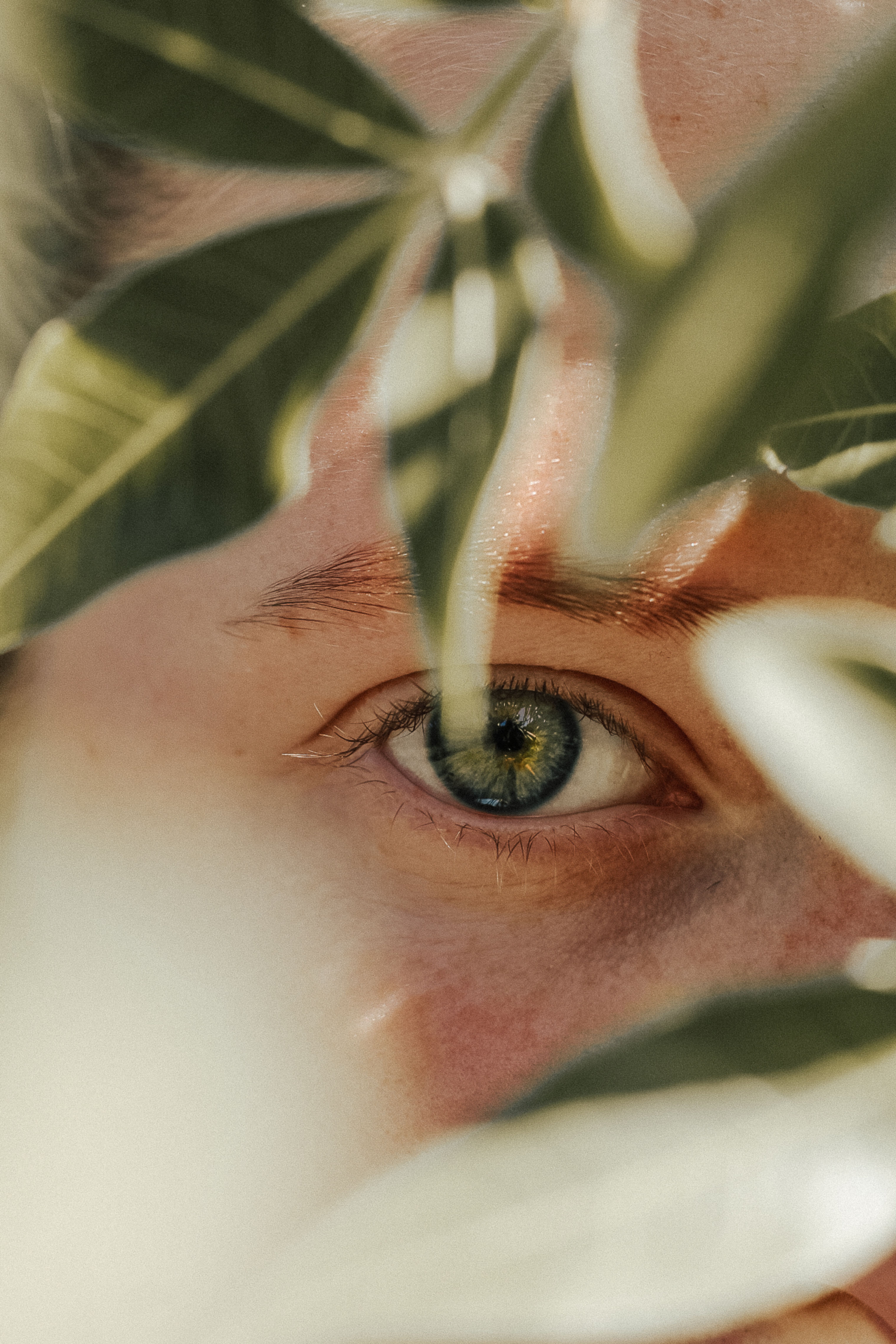 Ave Eye Photos, Download The BEST Free Ave Eye Stock Photos & HD Images