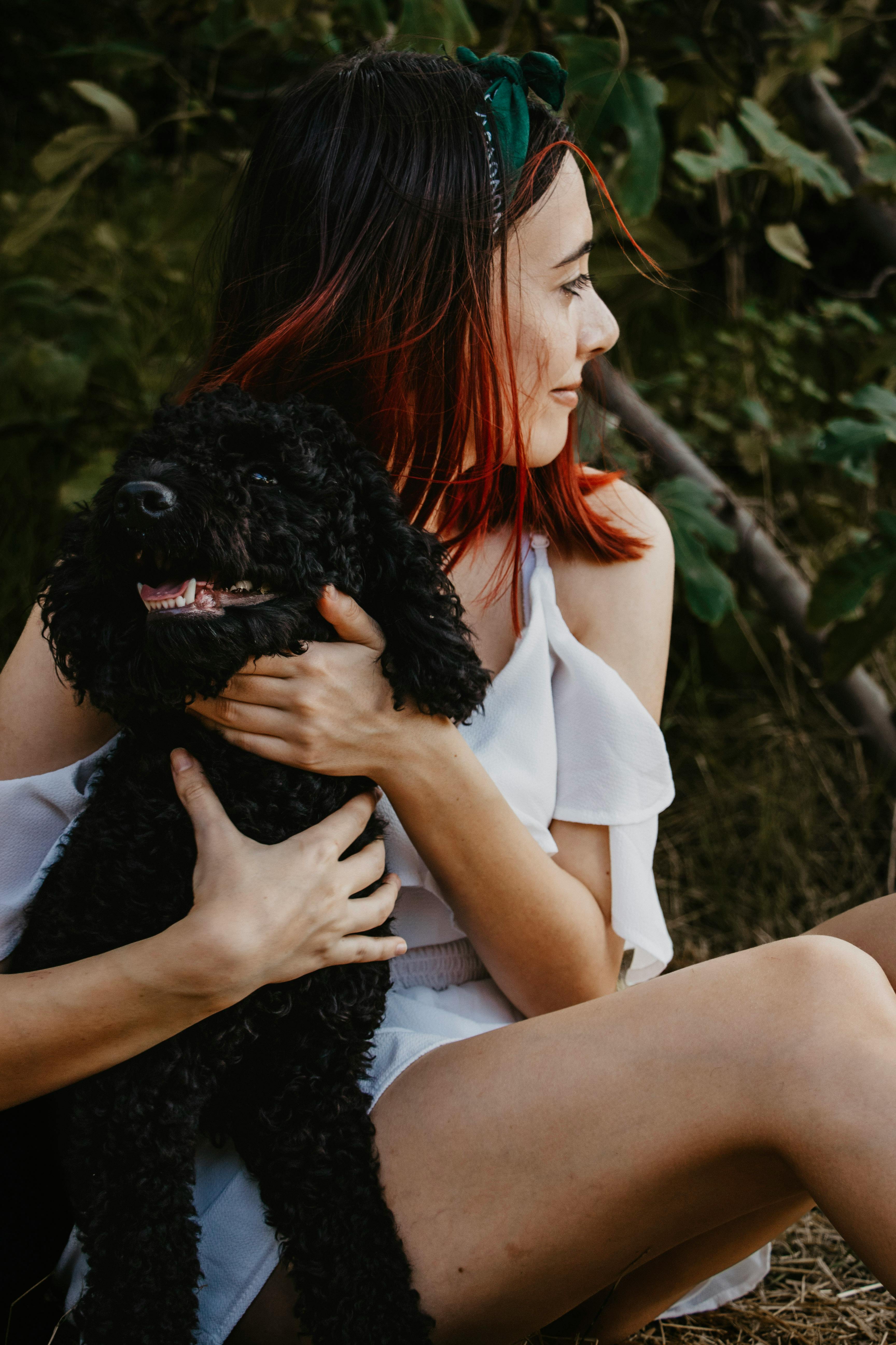 Dog Hugs Photos, Download The BEST Free Dog Hugs Stock Photos & HD Images