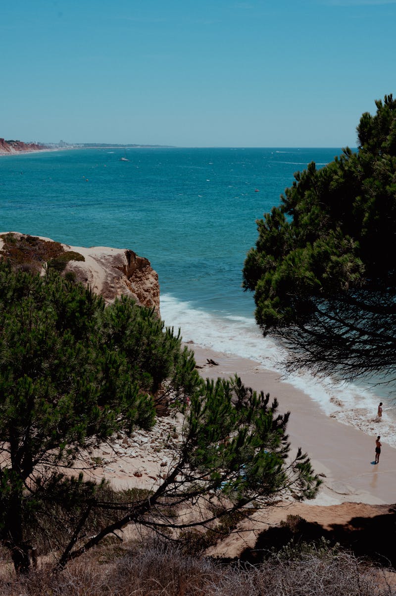 Sea Coast Photos, Download The BEST Free Sea Coast Stock Photos & HD Images