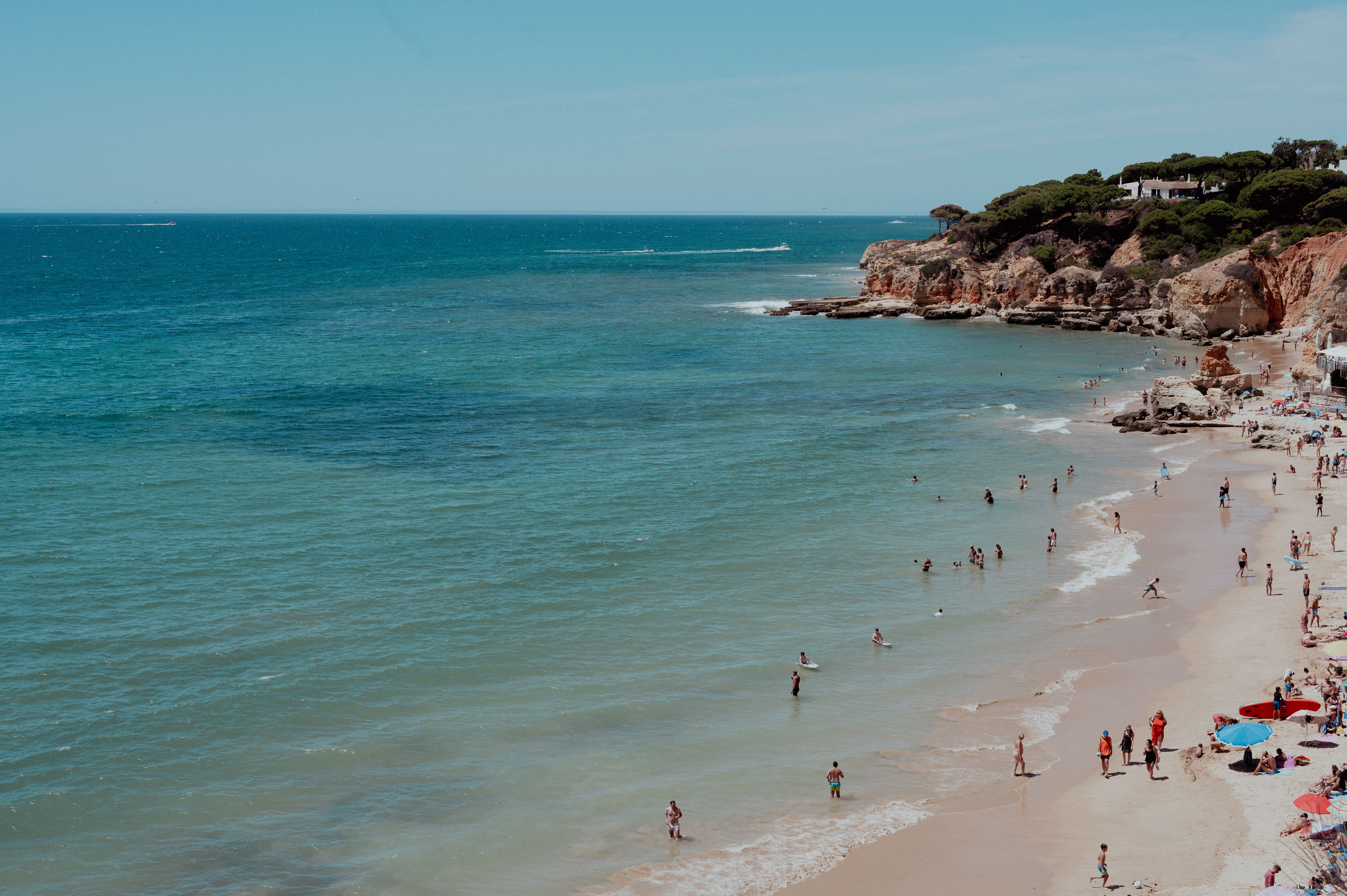 People on a Sunny Beach · Free Stock Photo