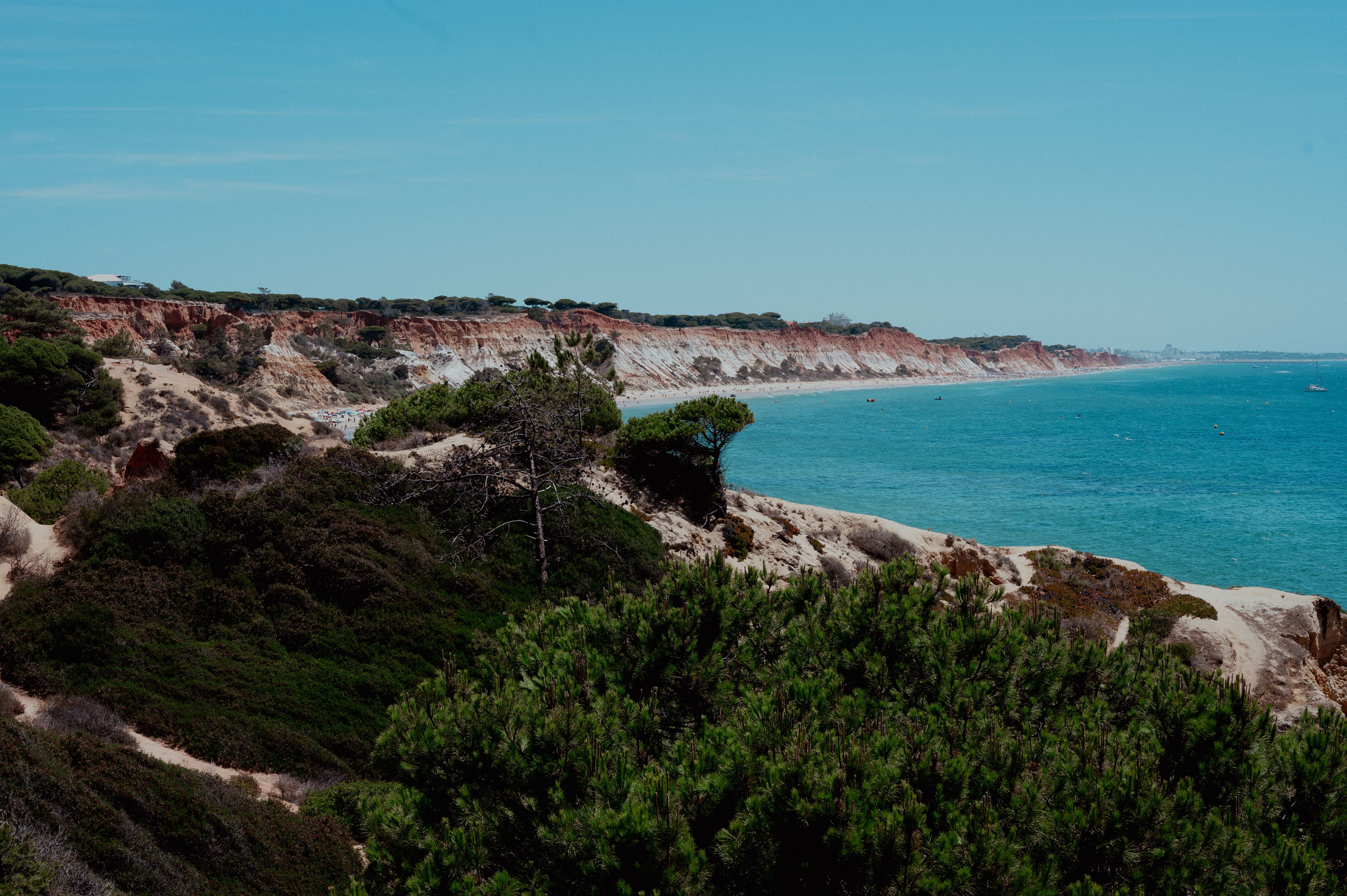 A view of the ocean and cliffs from a hill · Free Stock Photo