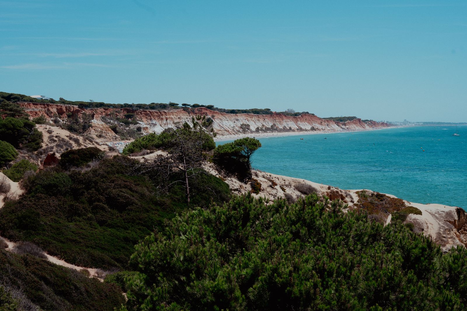 Clif Photos, Download The BEST Free Clif Stock Photos & HD Images
