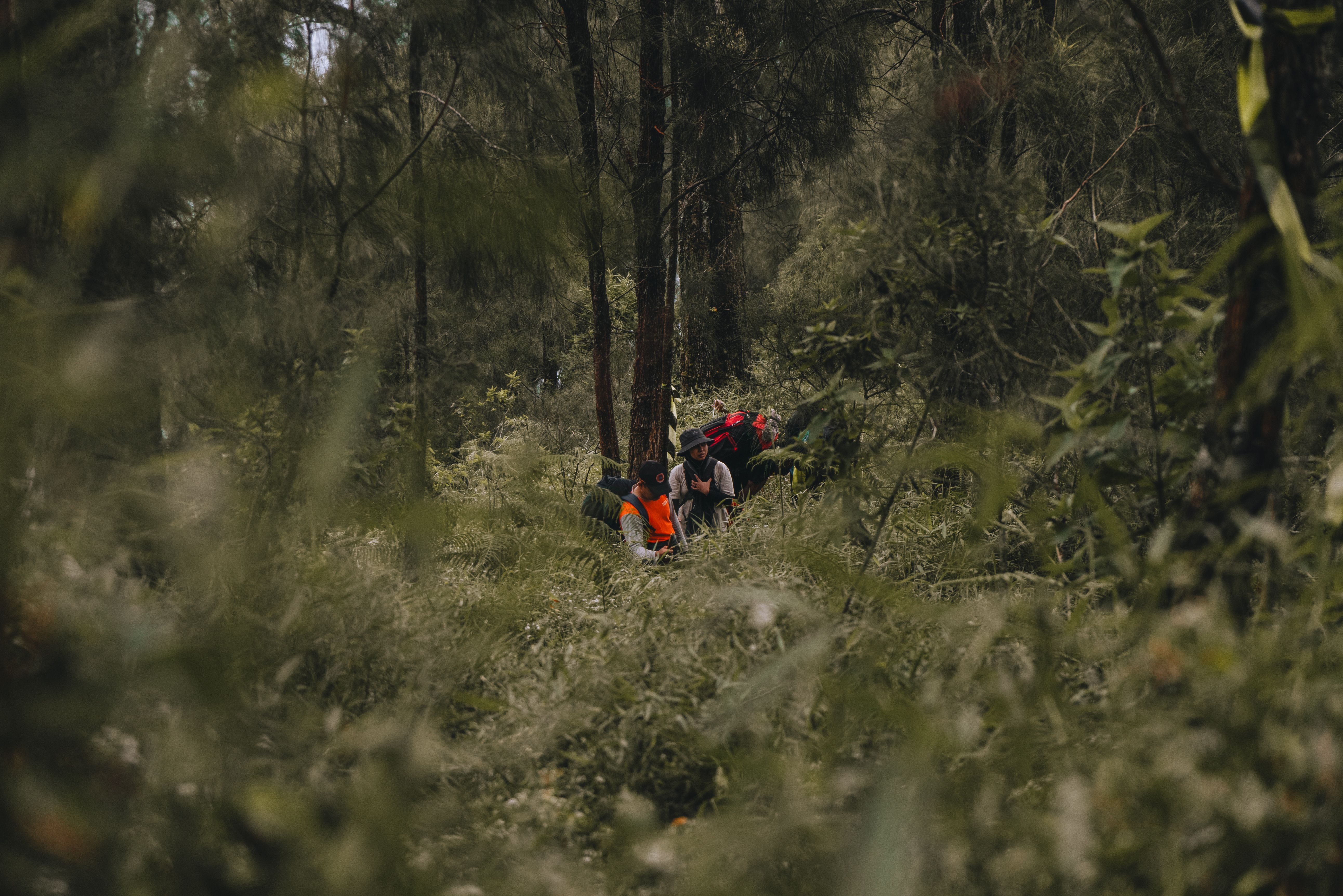 Nature Trails Photos, Download The BEST Free Nature Trails Stock Photos ...