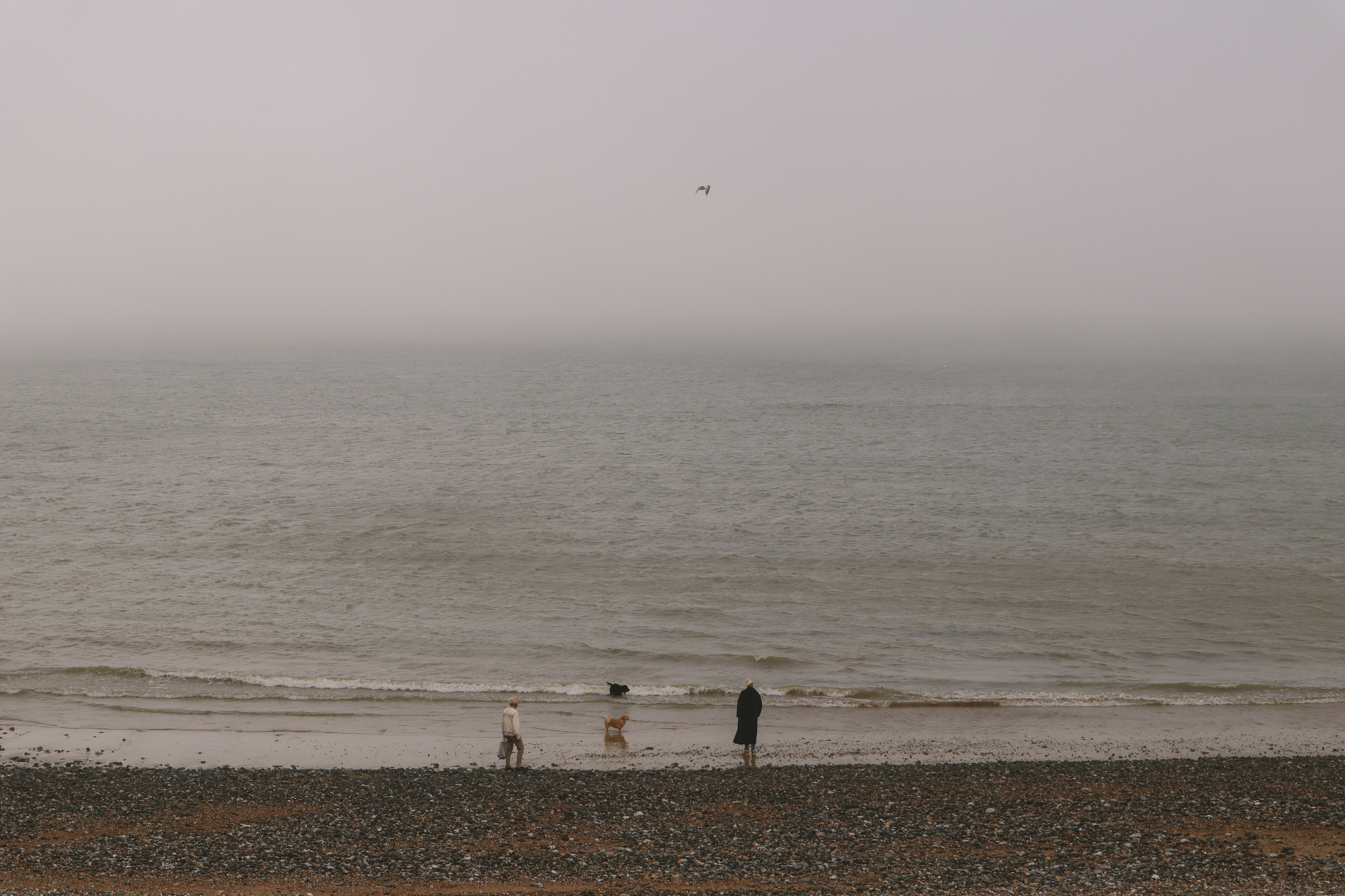 Beach Uk Photos, Download The BEST Free Beach Uk Stock Photos & HD Images