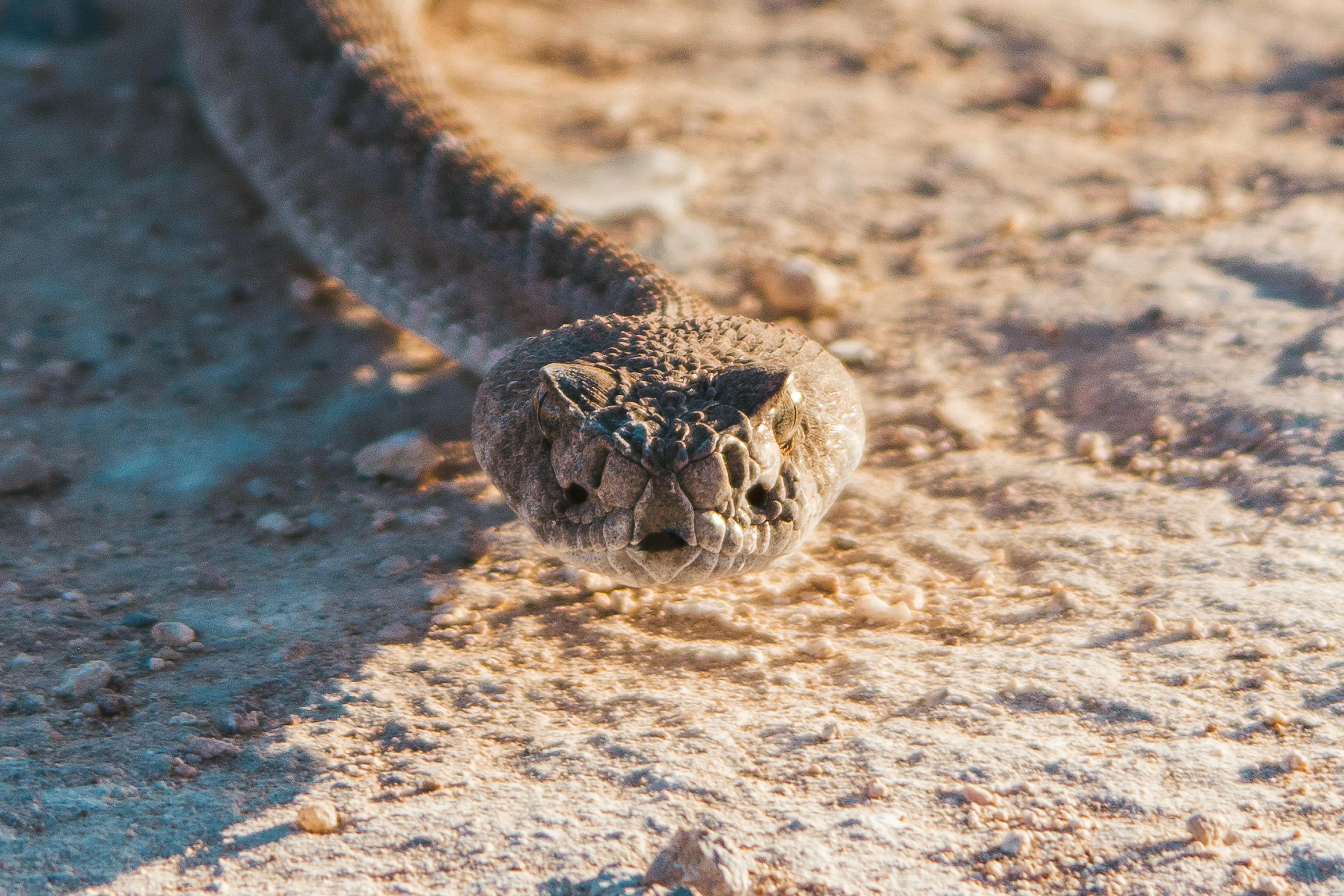 Uriel Venegas - Photography