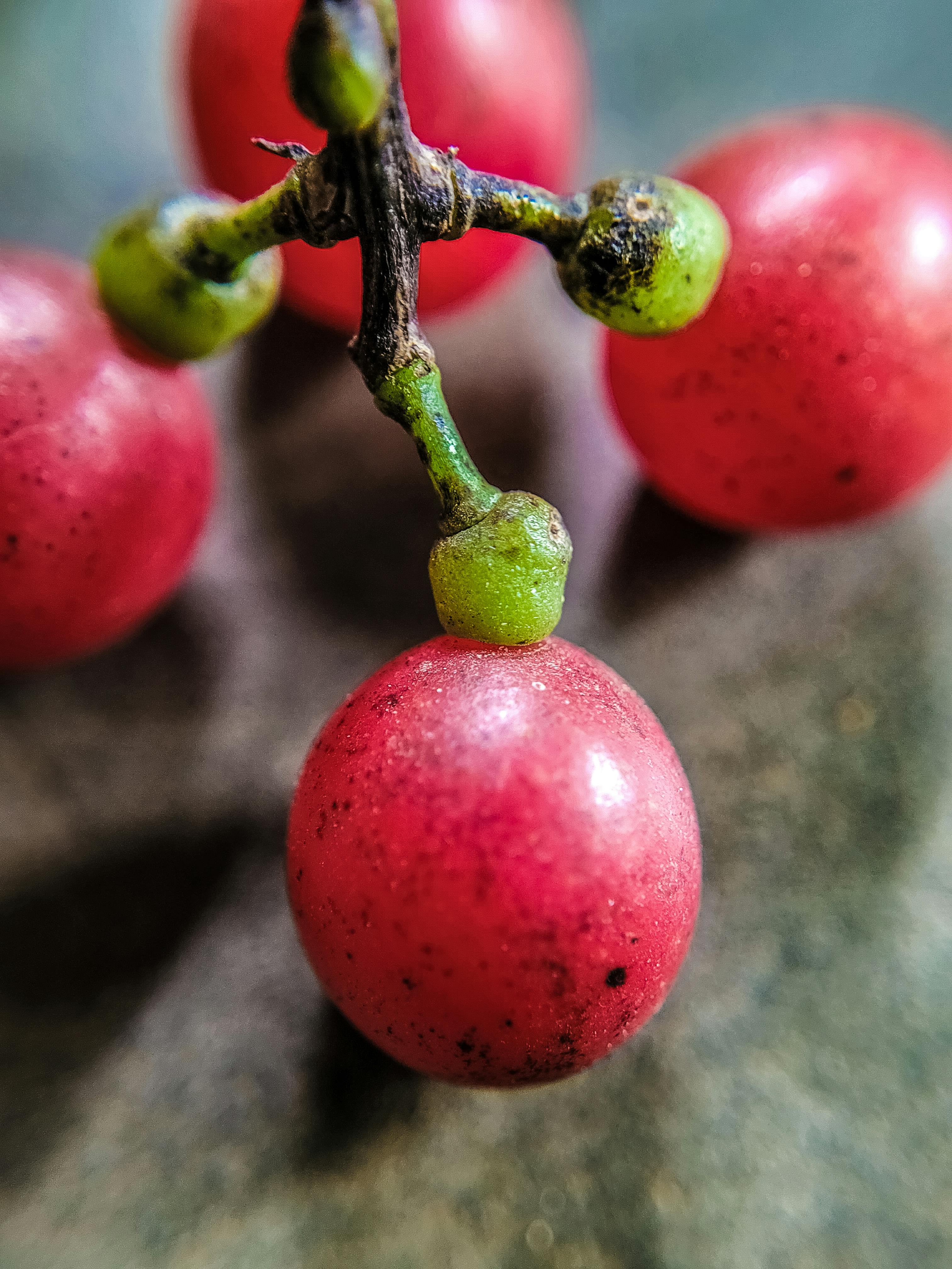 Sourav Biswas - 사진