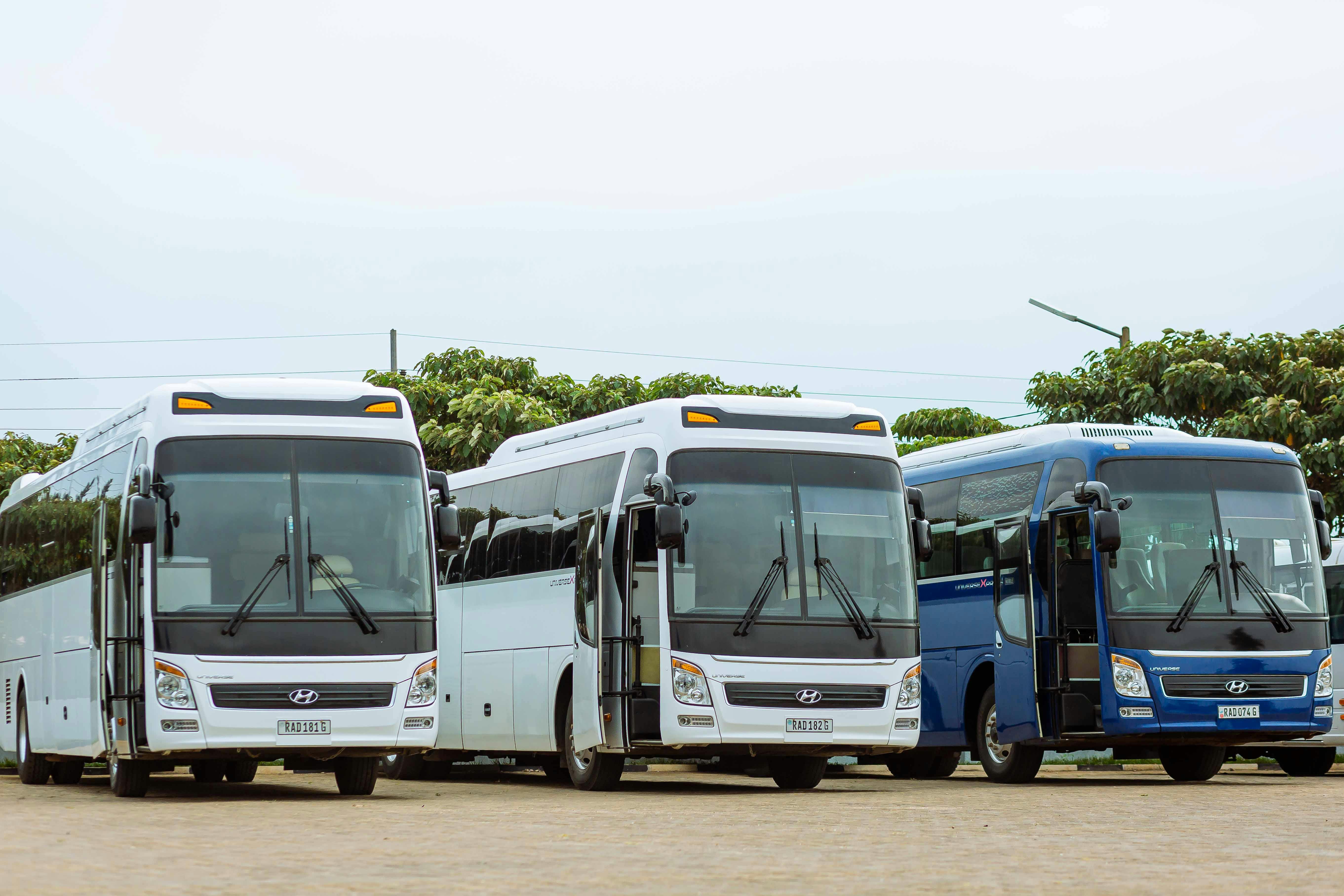 Choice of Hyundai Buses · Free Stock Photo