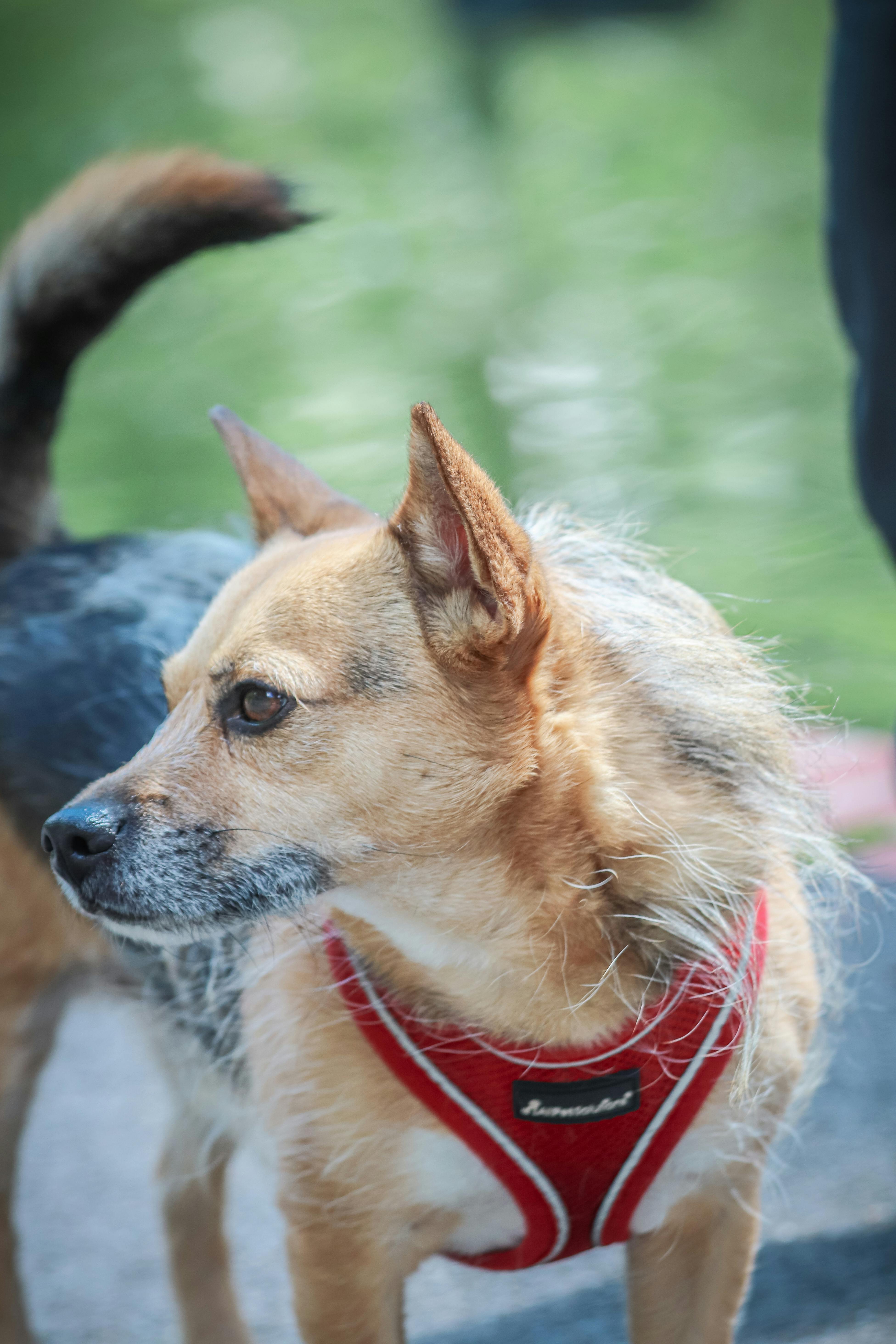 Observant Photos, Download The BEST Free Observant Stock Photos & HD Images