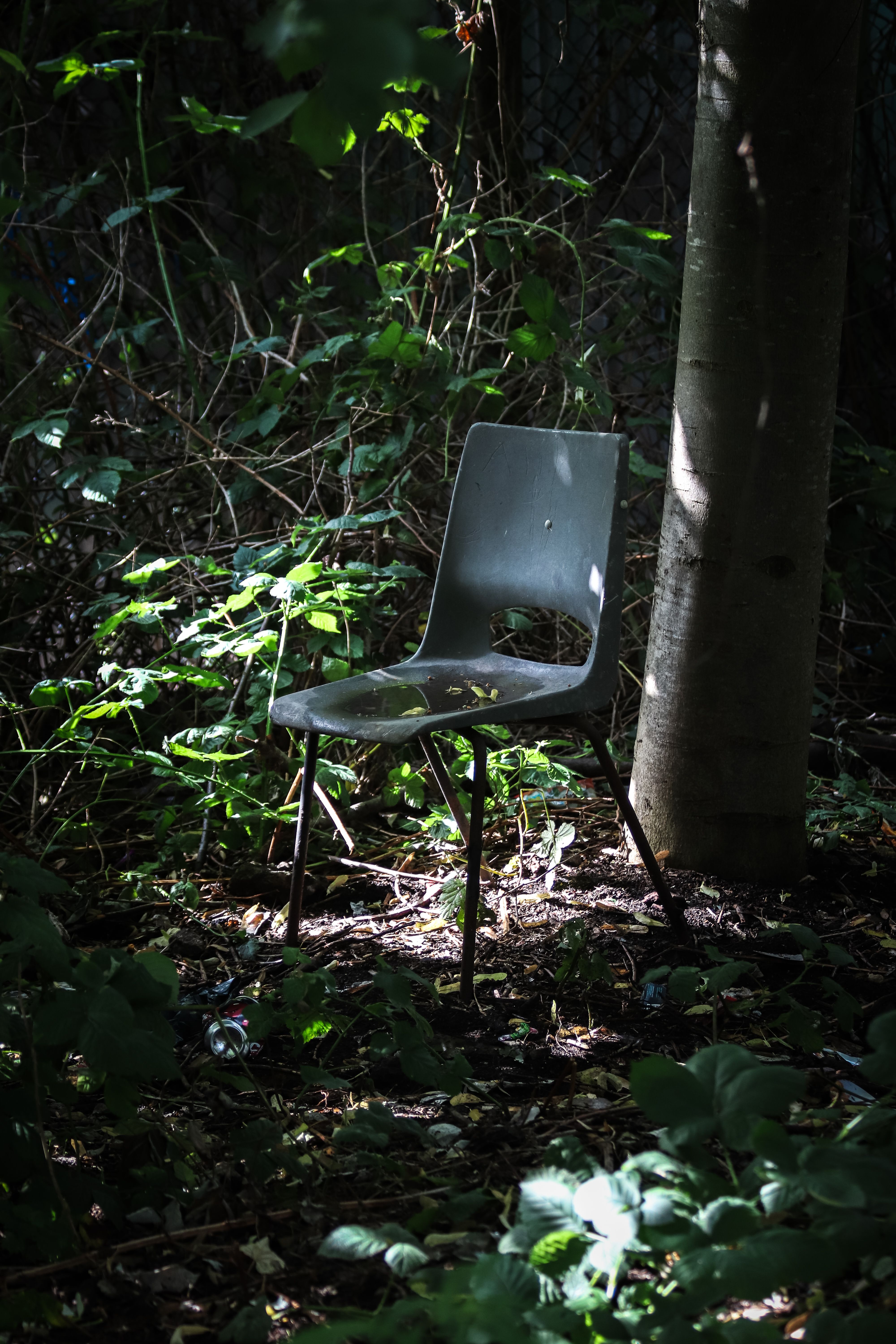Black Chair in Forest · Free Stock Photo