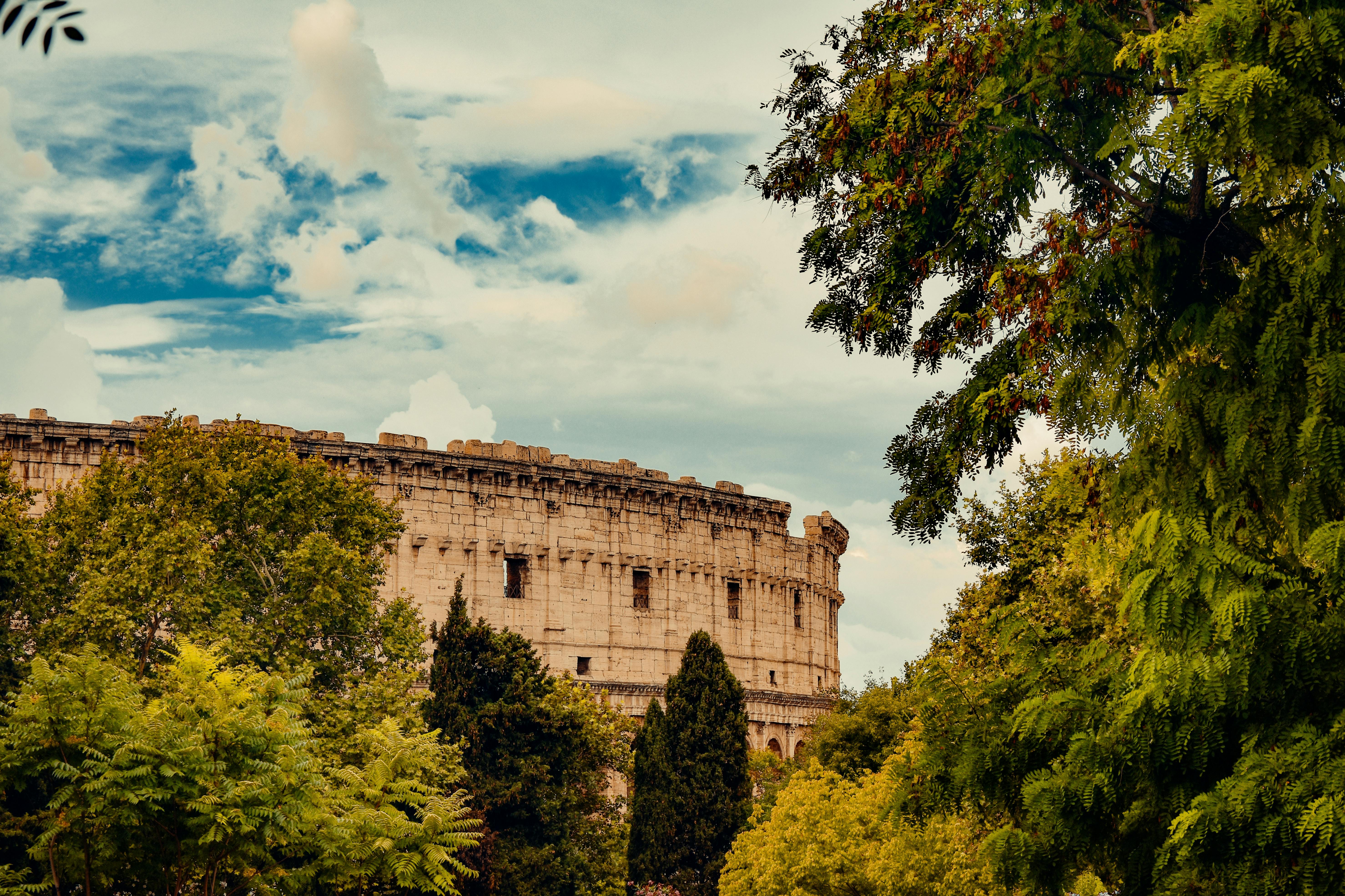 Colosseum behind Trees · Free Stock Photo