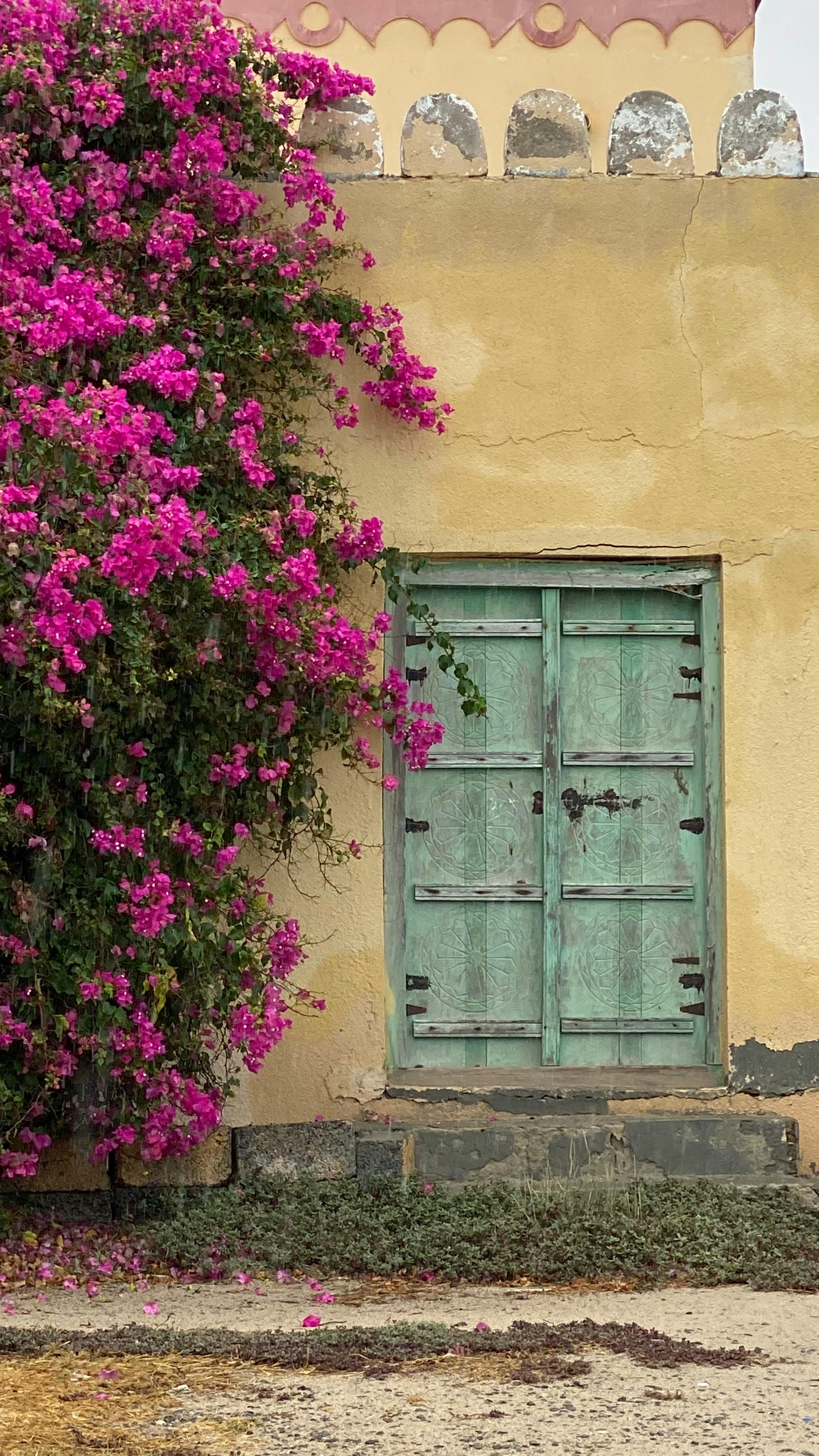 Ornate White Double-winged Doors · Free Stock Photo