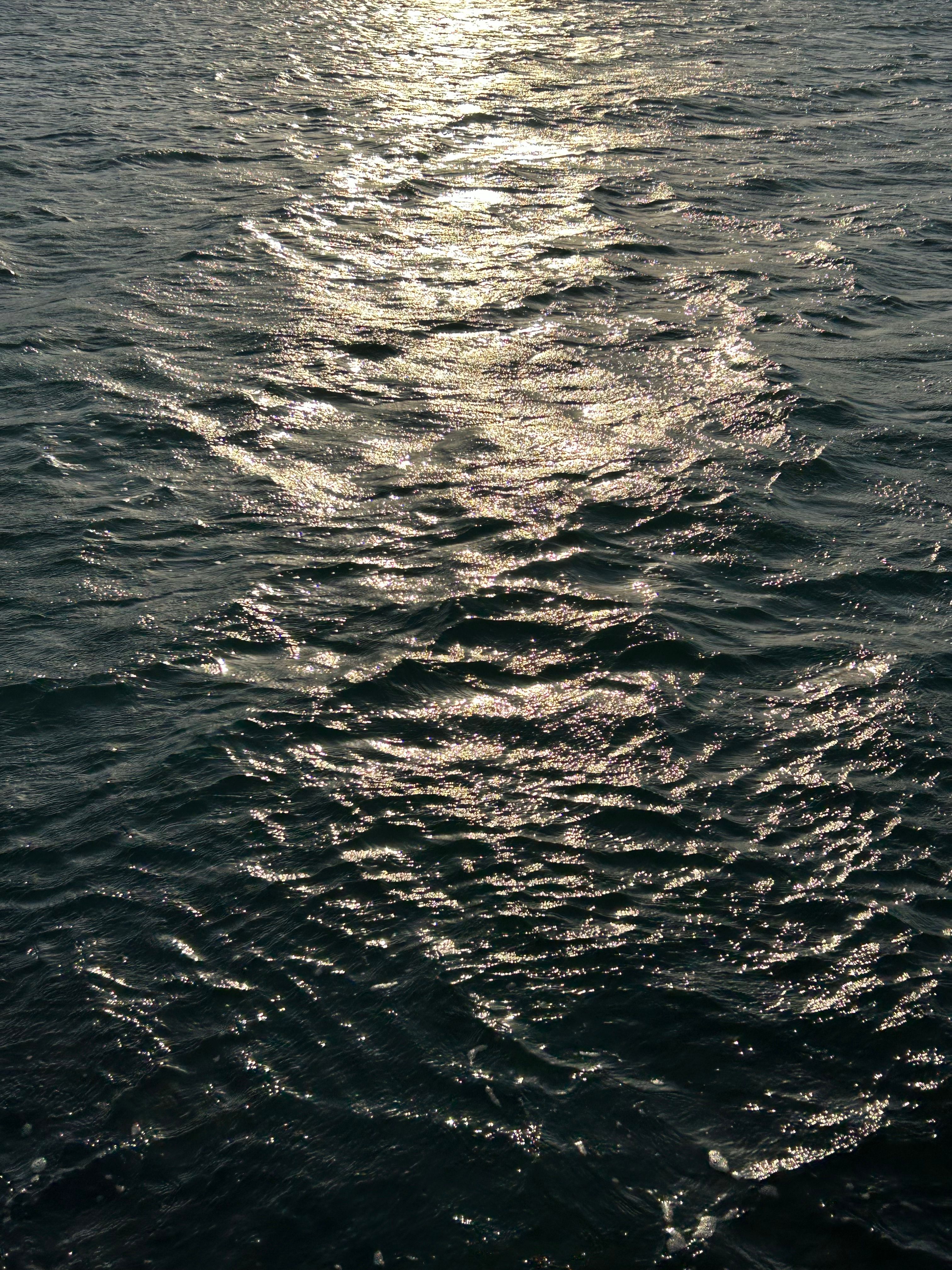 Sunlight Reflecting in Sea · Free Stock Photo