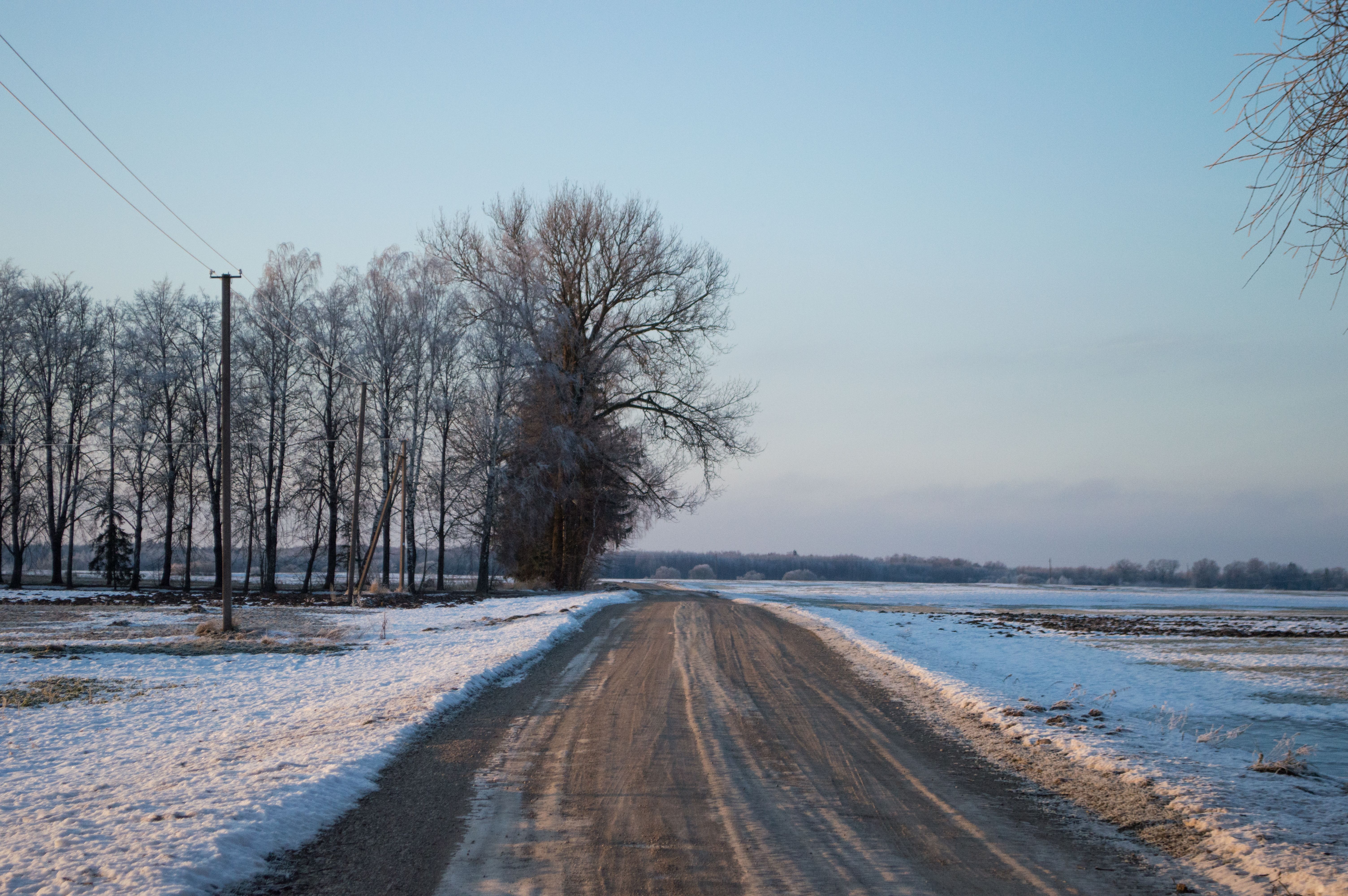A road with snow on it and trees in the background · Free Stock Photo